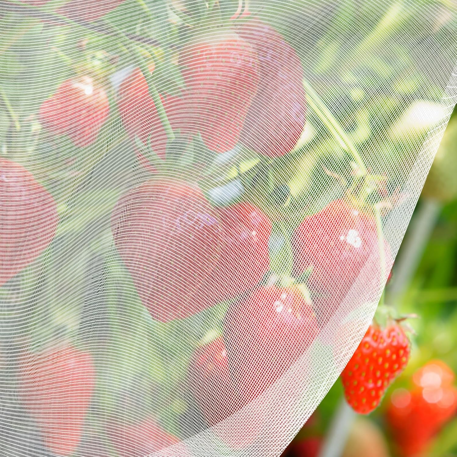 Amazon.com : U0U Garden Mesh Netting for Plants,10 * 10Ft Ultra Fine ...