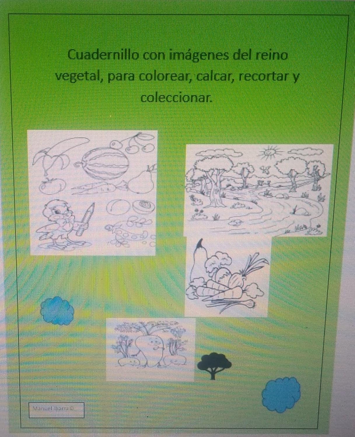 Amazon.com: Cuadernillo con imágenes del reino vegetal, para colorear ...