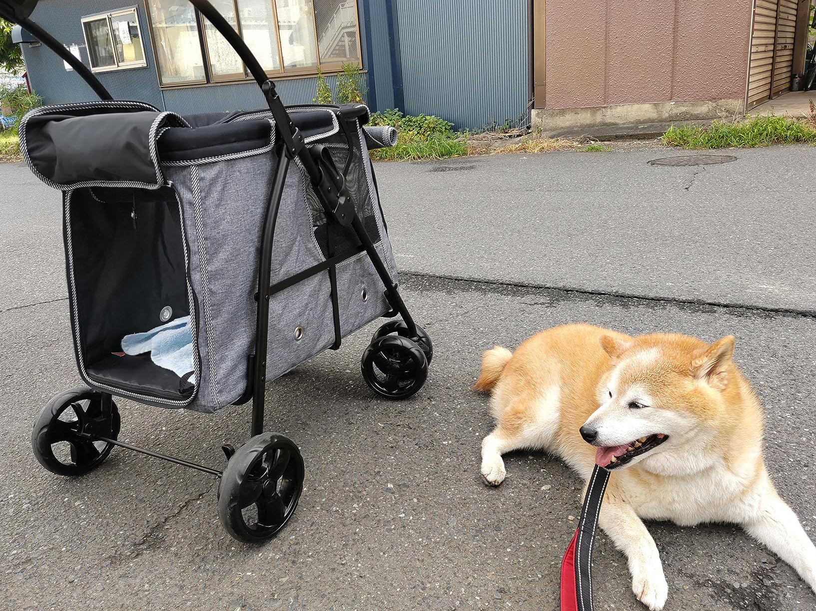 Amazon | GEX ジェックス わんわんカート 中型犬用 ライトグレー ペット用カート 乗り降りラクラク 通気性 ドリンクホルダー付き 耐荷重25kg以下 犬用 | ジェックス | カート 通販