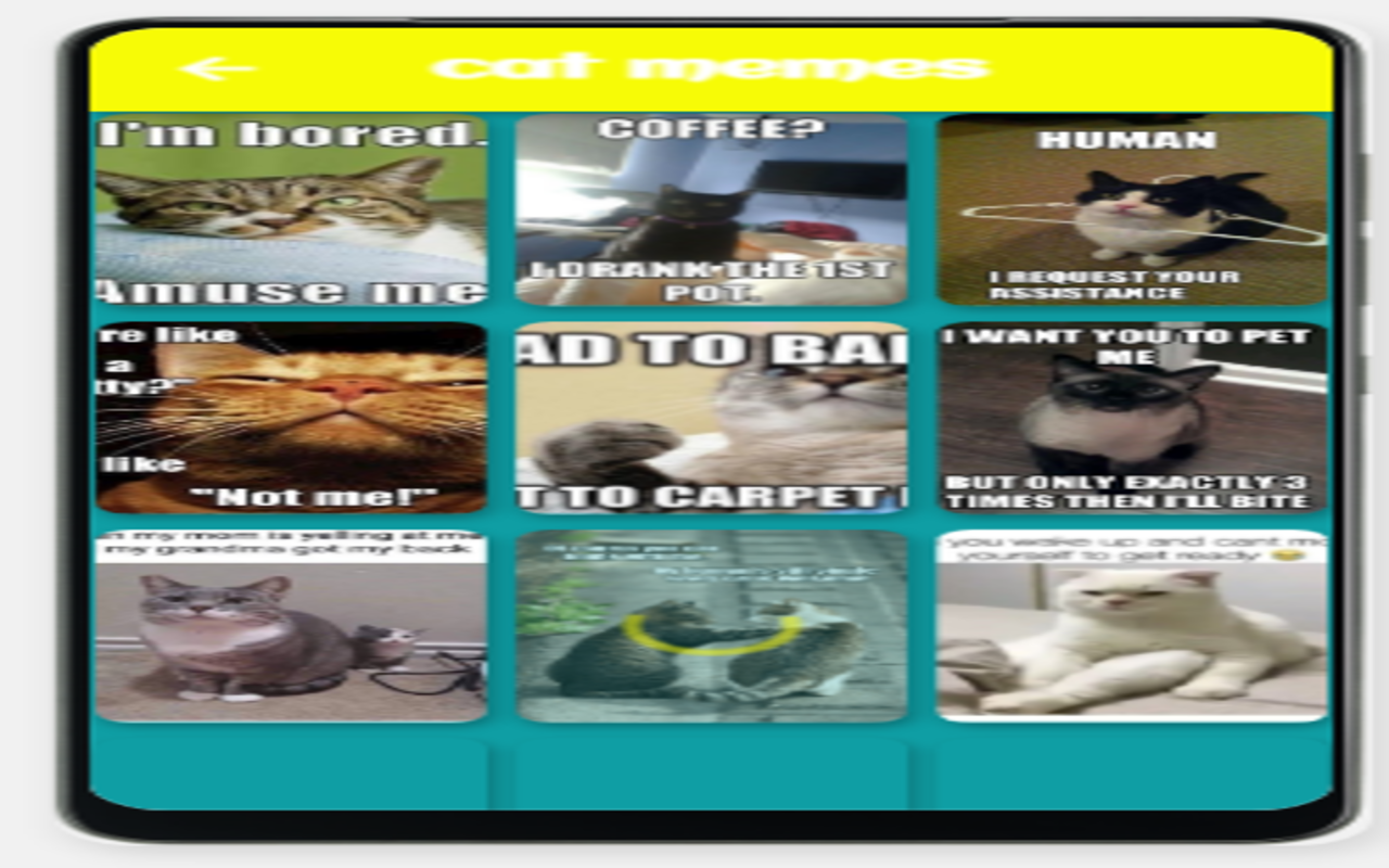 funny memes/ funny cat memes - App on Amazon Appstore