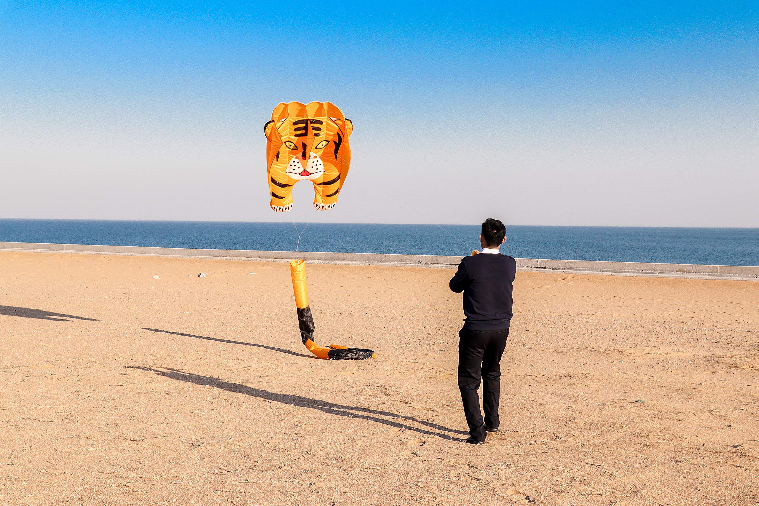 Fullfar Tiger 3D Kite For Adult, Soft Nylon Material Parafoil Kite For ...