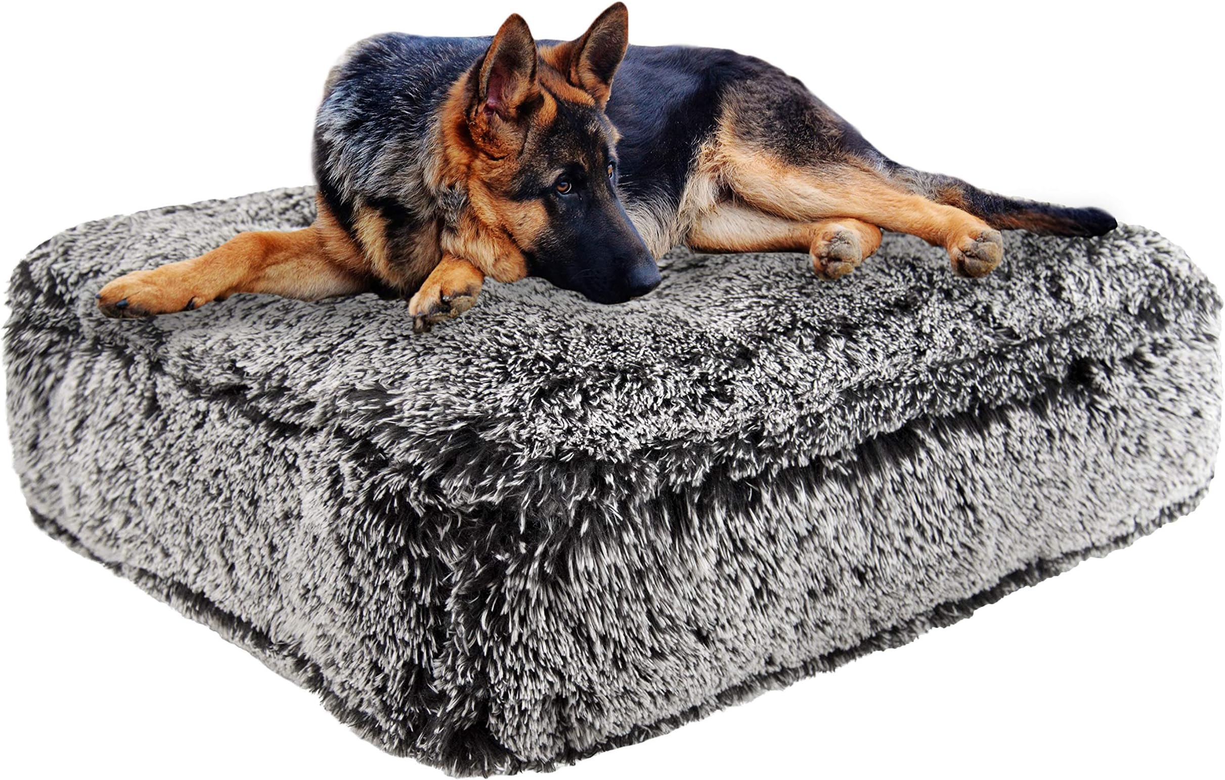 Amazon.com : PUJUN Toast Cute Pet Beds Foam-Mattress for Dogs & Cats ...