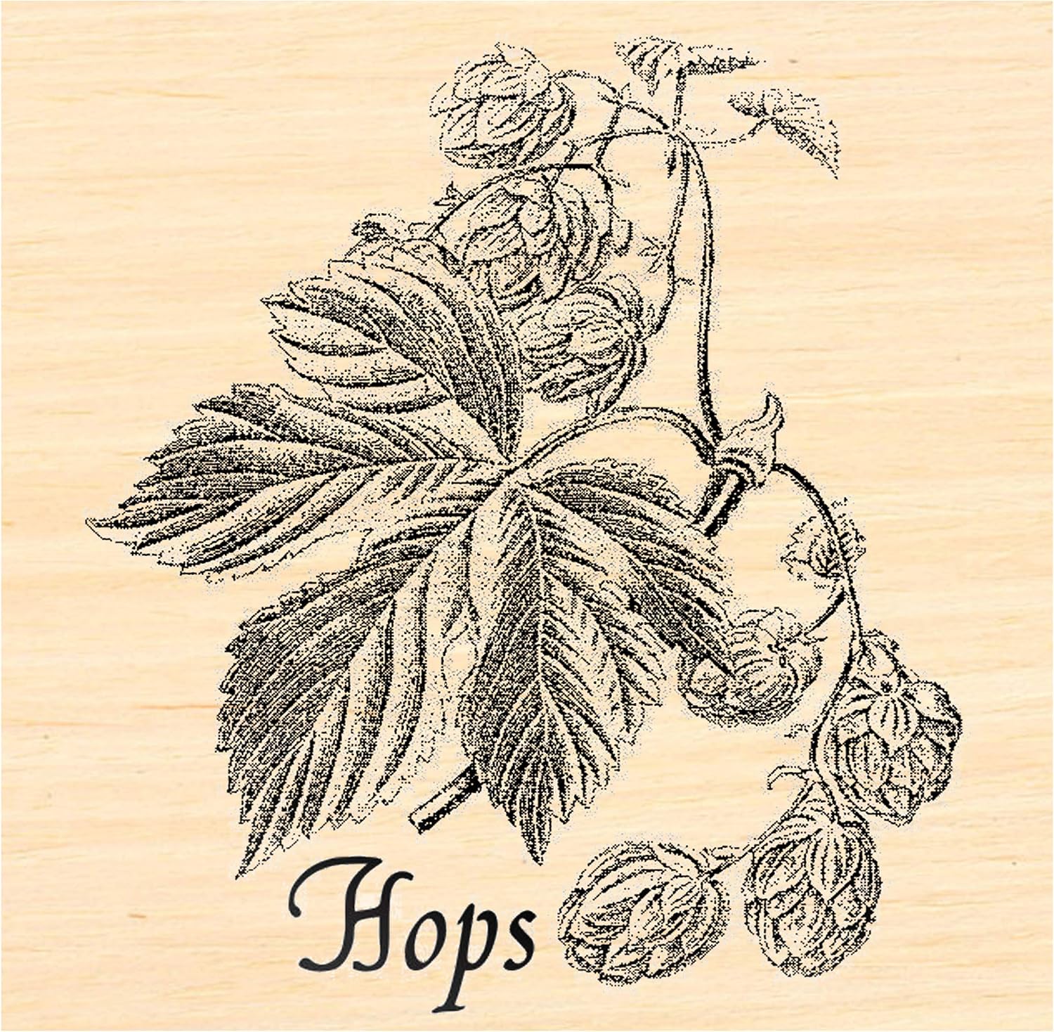 Amazon.com: Hops Rubber Stamp WM P55 2.25x2 : Arts, Crafts & Sewing