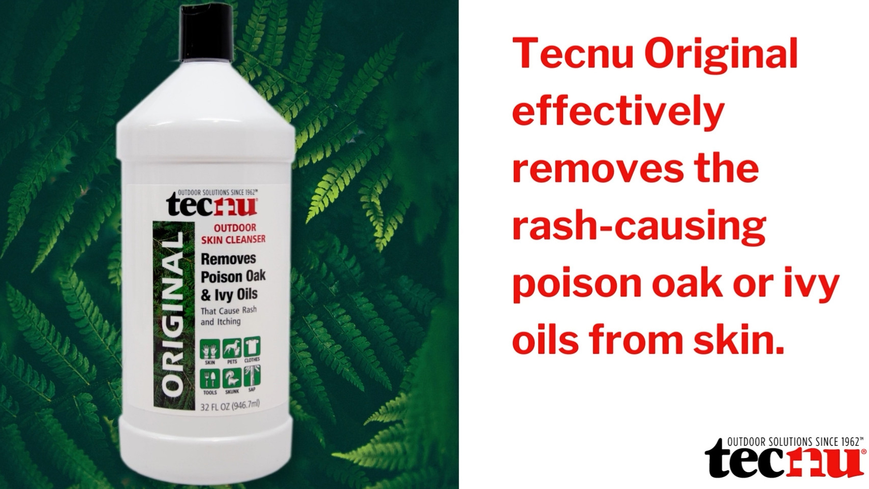 Baking Soda And Poison Oak Amazon.com: Tecnu Original Poison Oak & Ivy