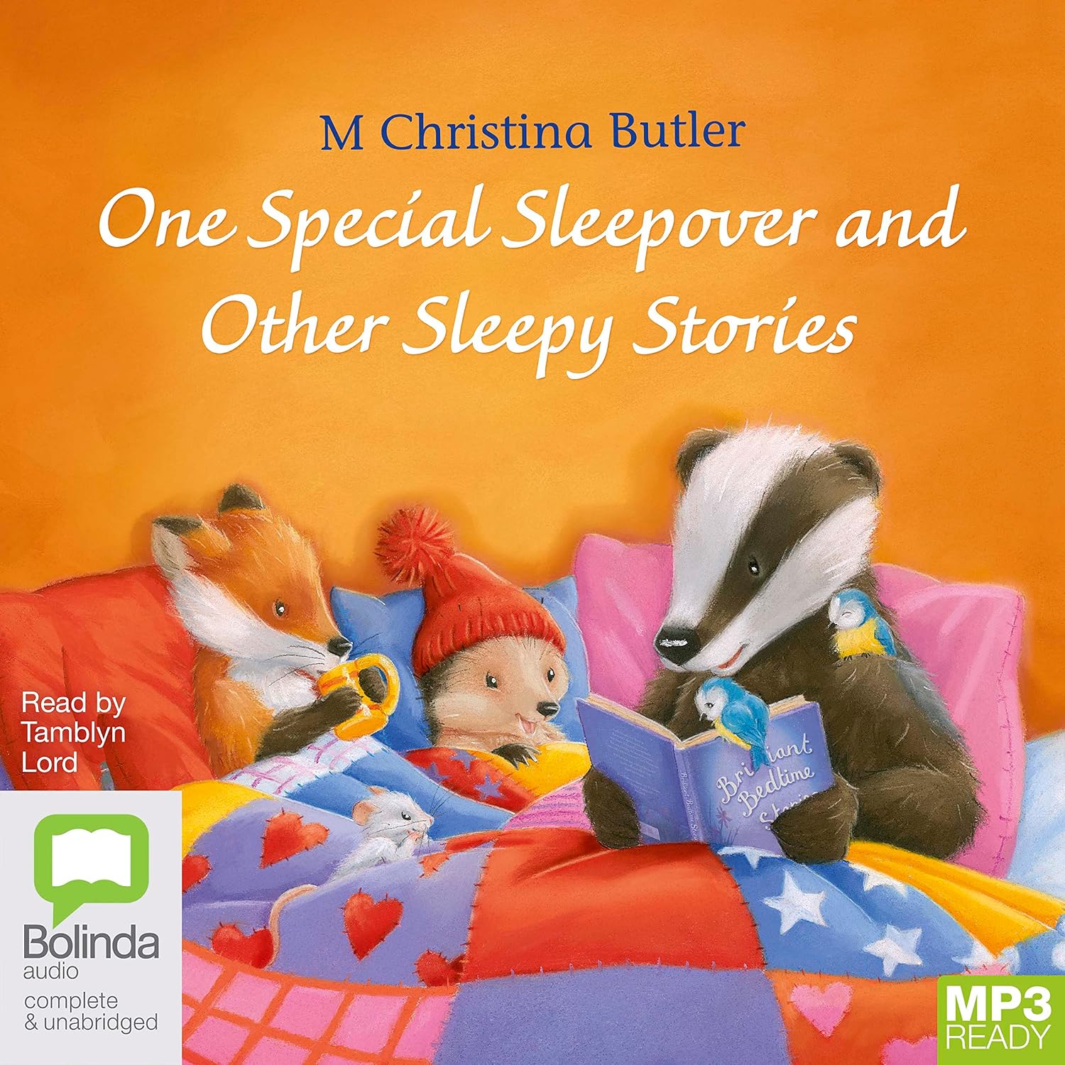 One Special Sleepover: And Other Sleepy Stories : Butler, M. Christina ...