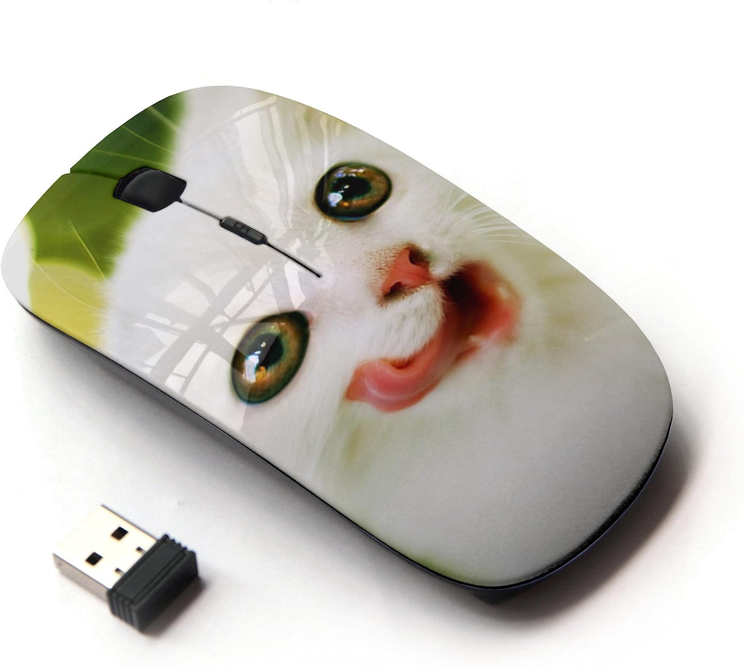 Amazon.com: iBigbang Optical 2.4G Wireless Mouse Mice - Angora Van ...