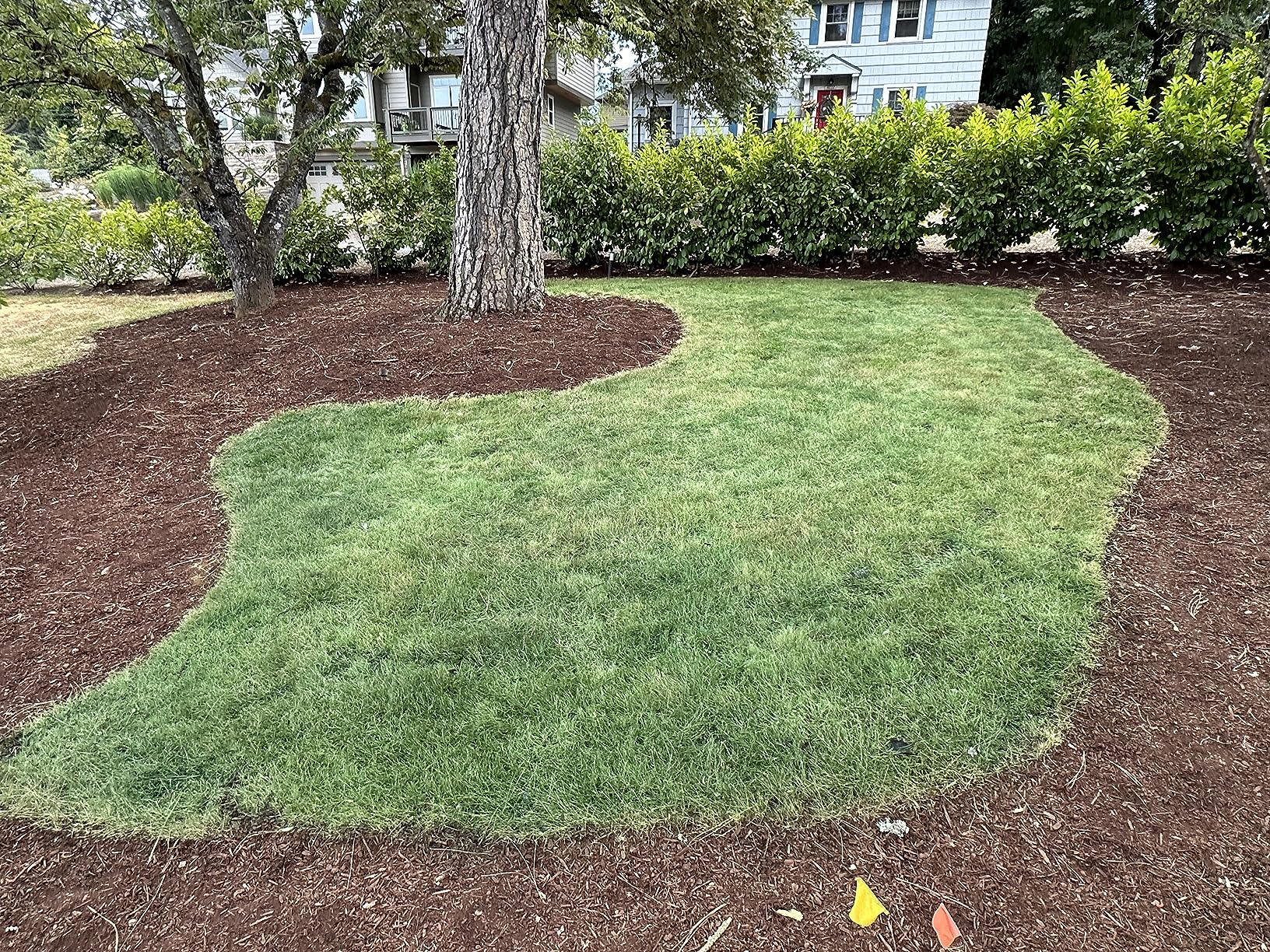 $9/mo - Finance PetraTools Grass Paint Max Strength, Green Grass Lawn ...