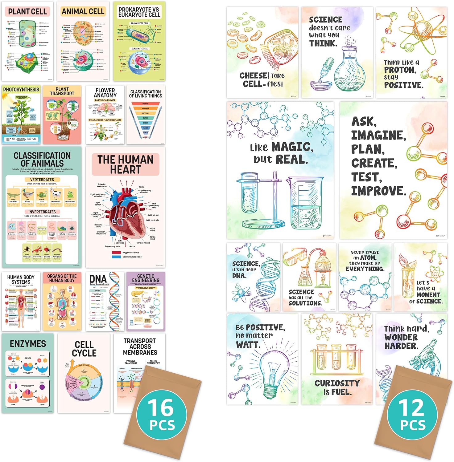Amazon.com: Decorably Science Classroom Posters Bundle - 16 Science ...
