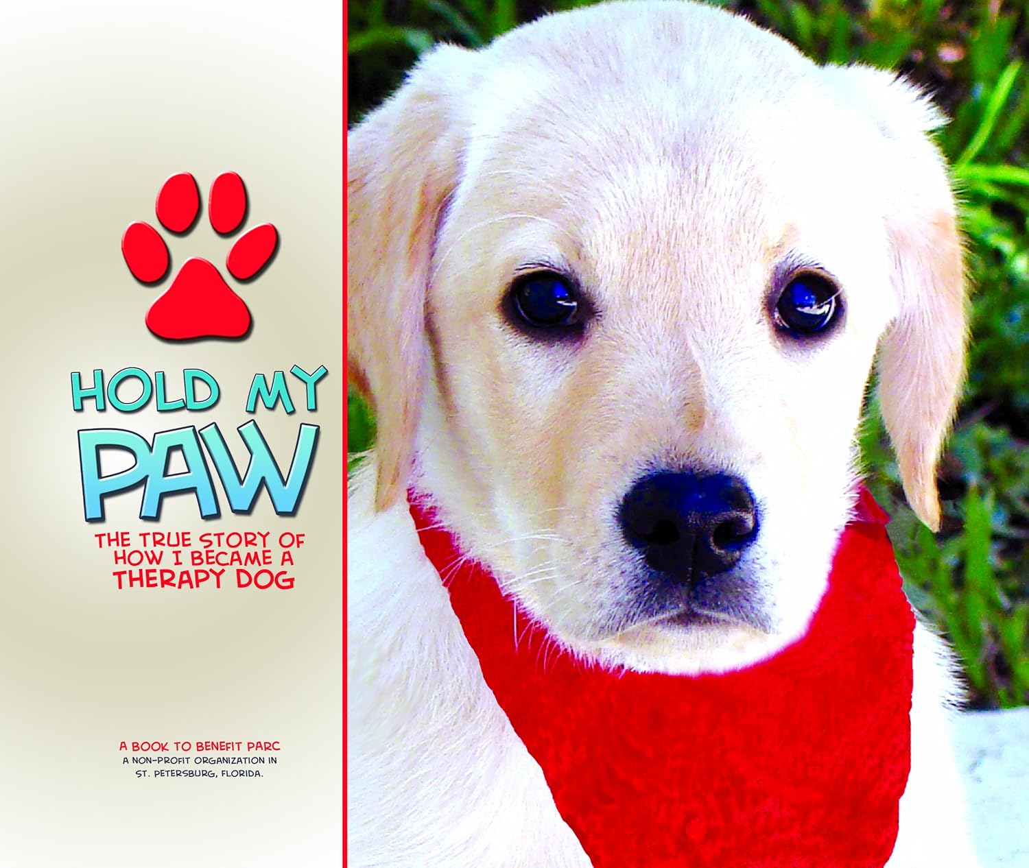 Hold My Paw - The True Story of How I Became a Therapy Dog : Amazon.in ...
