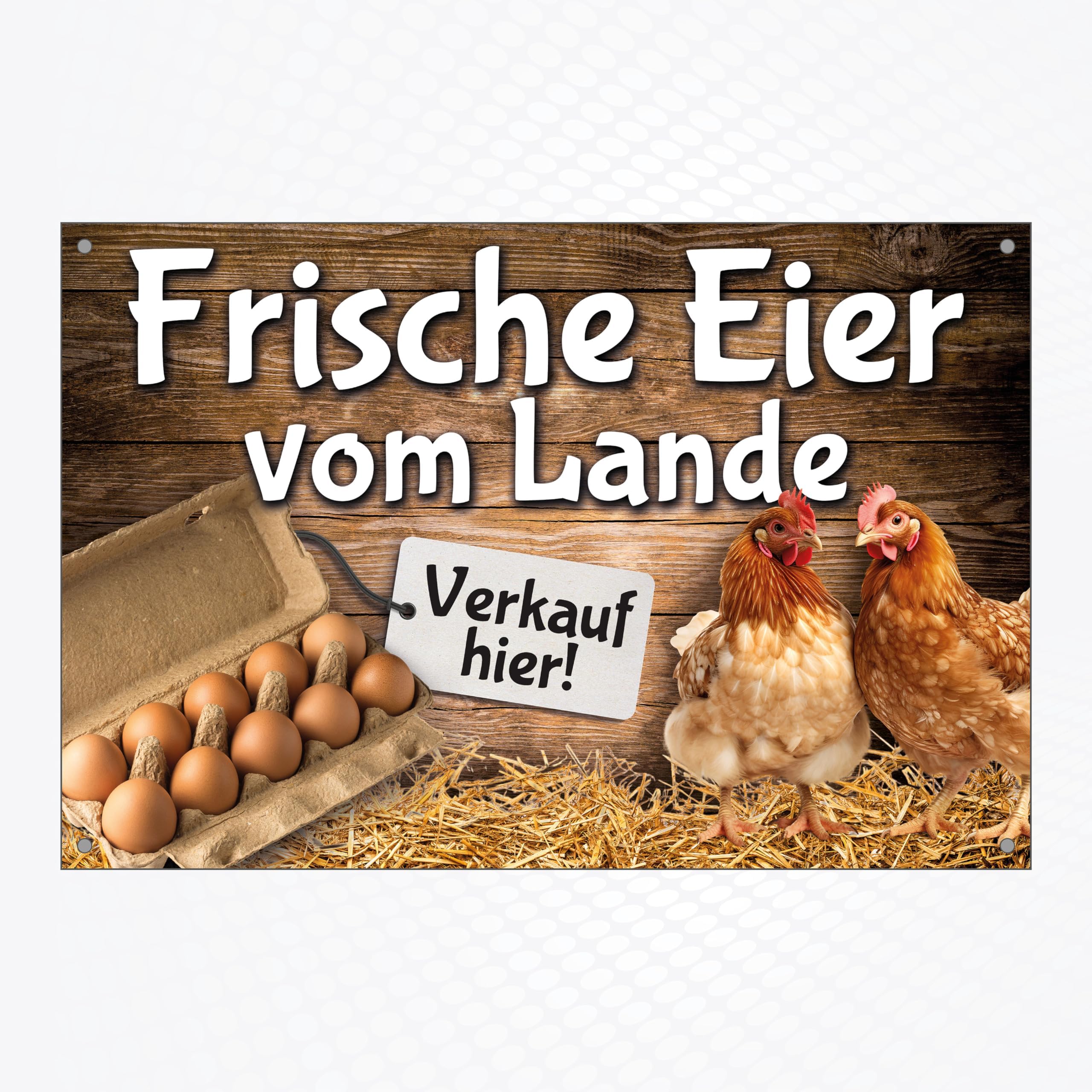 Hochwertiges Schild aus Alu-Dibond mit UV-Schutzlackierung " FRISCHE ...