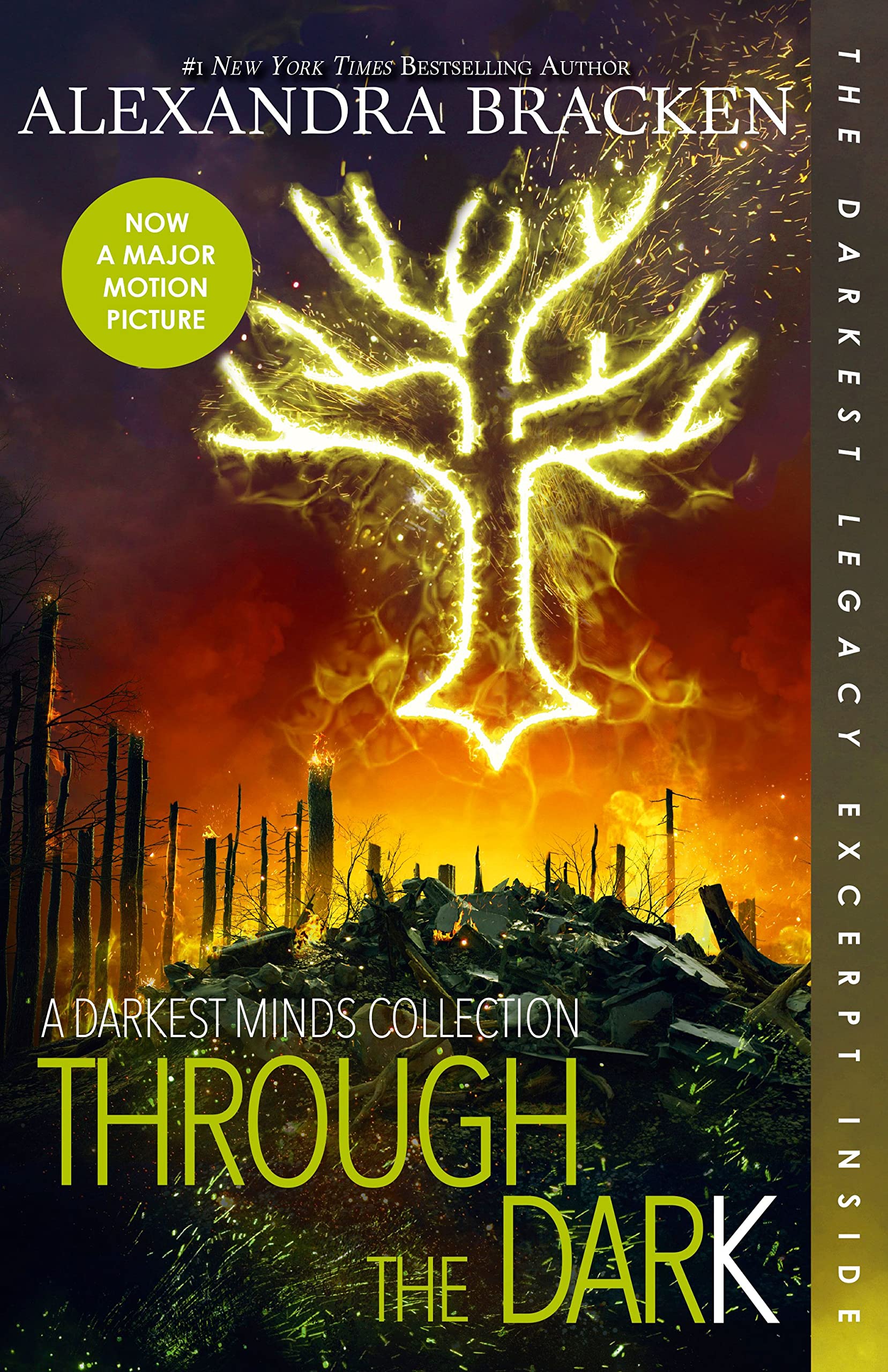 Through the Dark: A Darkest Minds Collection (The Darkest Minds) (The ...