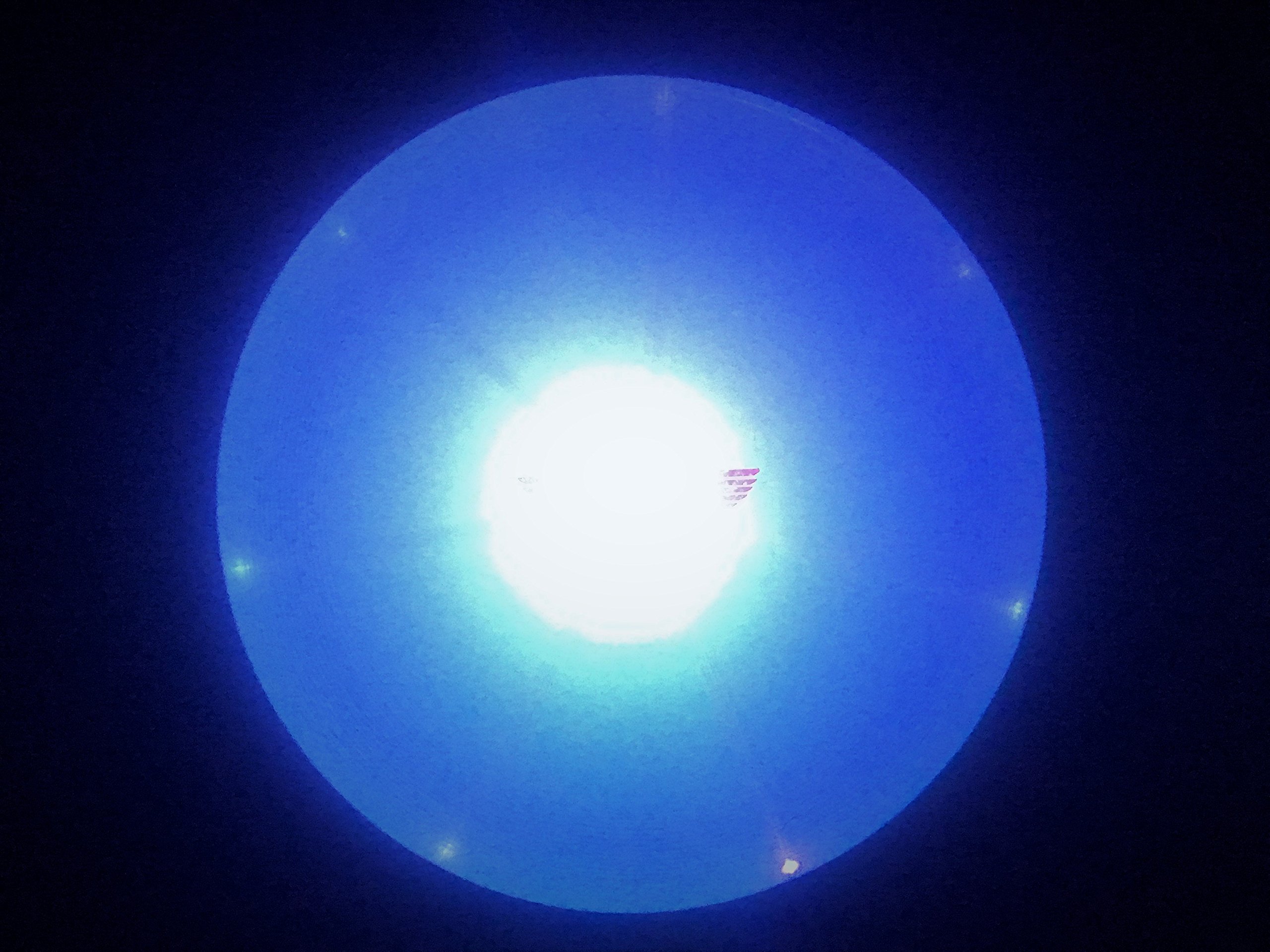 Frisbee Golf Disc Flight Patterns at Albert Stallings blog