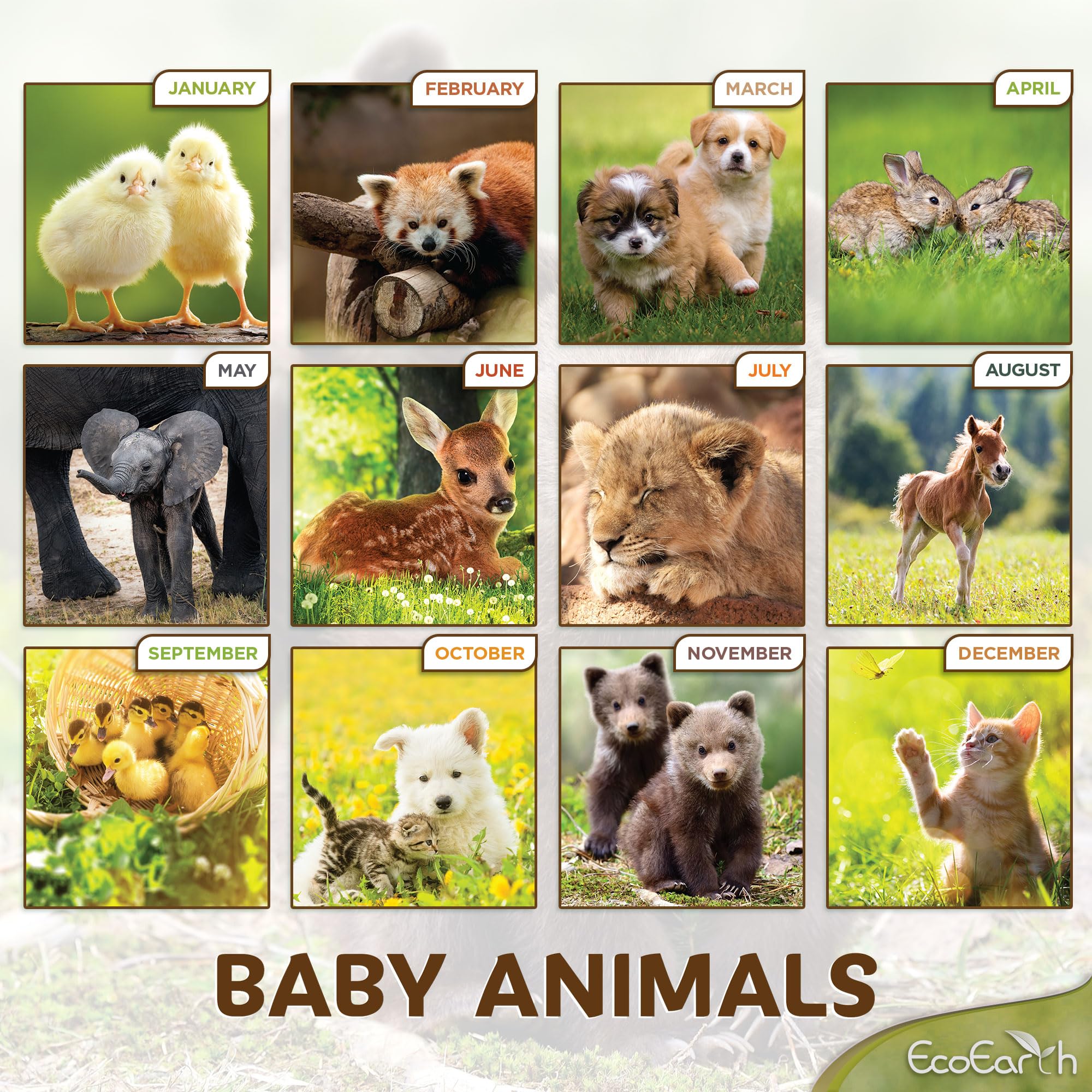 Snapklik.com : Biodegradable 11x17 Inch - Open - 12-Month Vertical ...