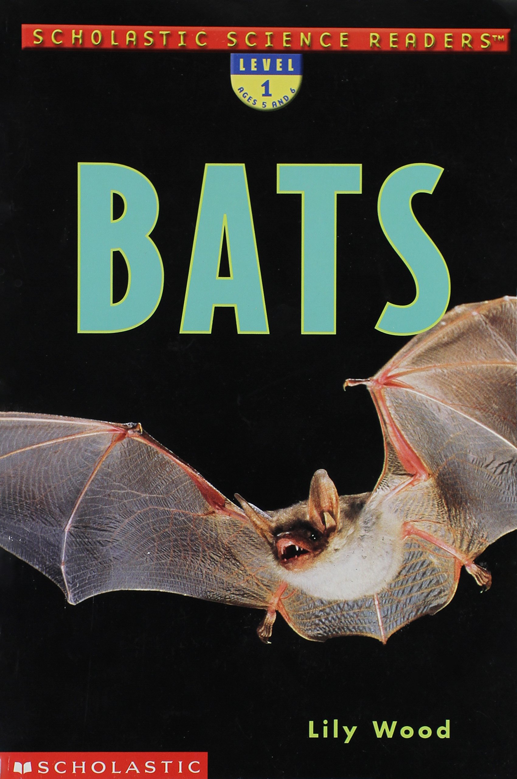 Bats (Scholastic Science Reader): Wood, Lily: 9780439162937: Amazon.com ...