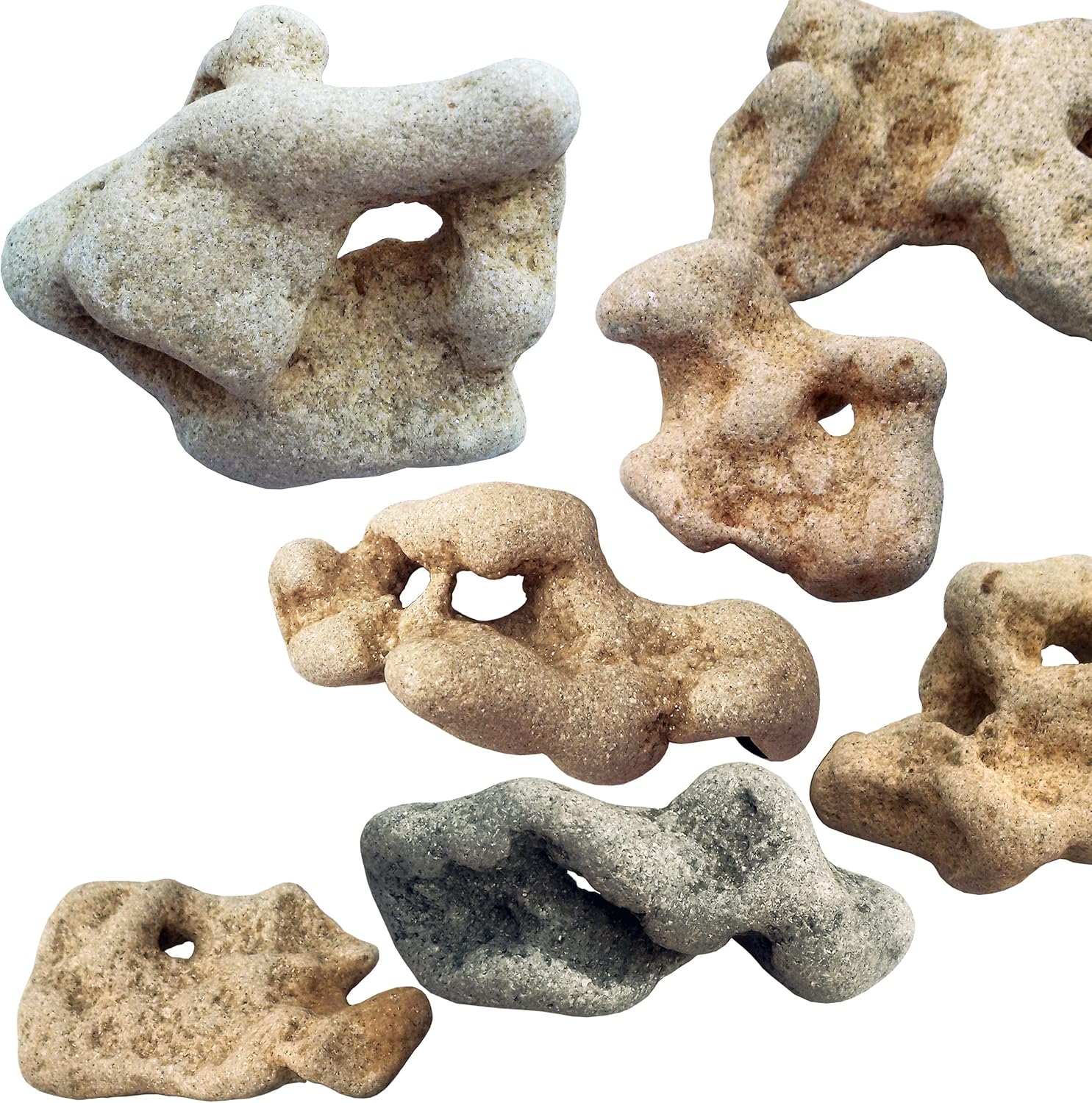 Amazon.com : Galilee Gifts + (1) Natural Hag Stone ~ from The ...