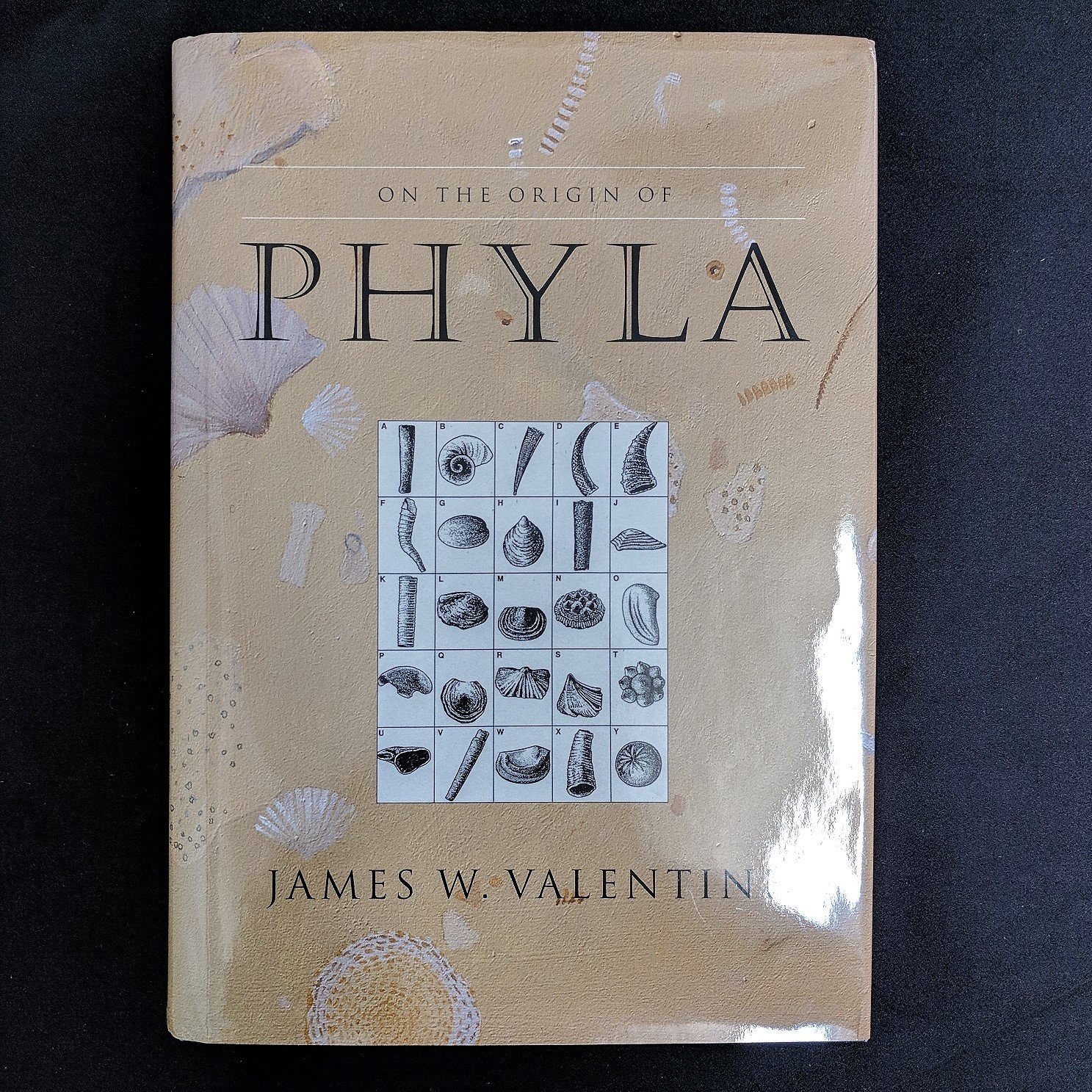 Amazon.com: On the Origin of Phyla: 9780226845487: Valentine, James W ...