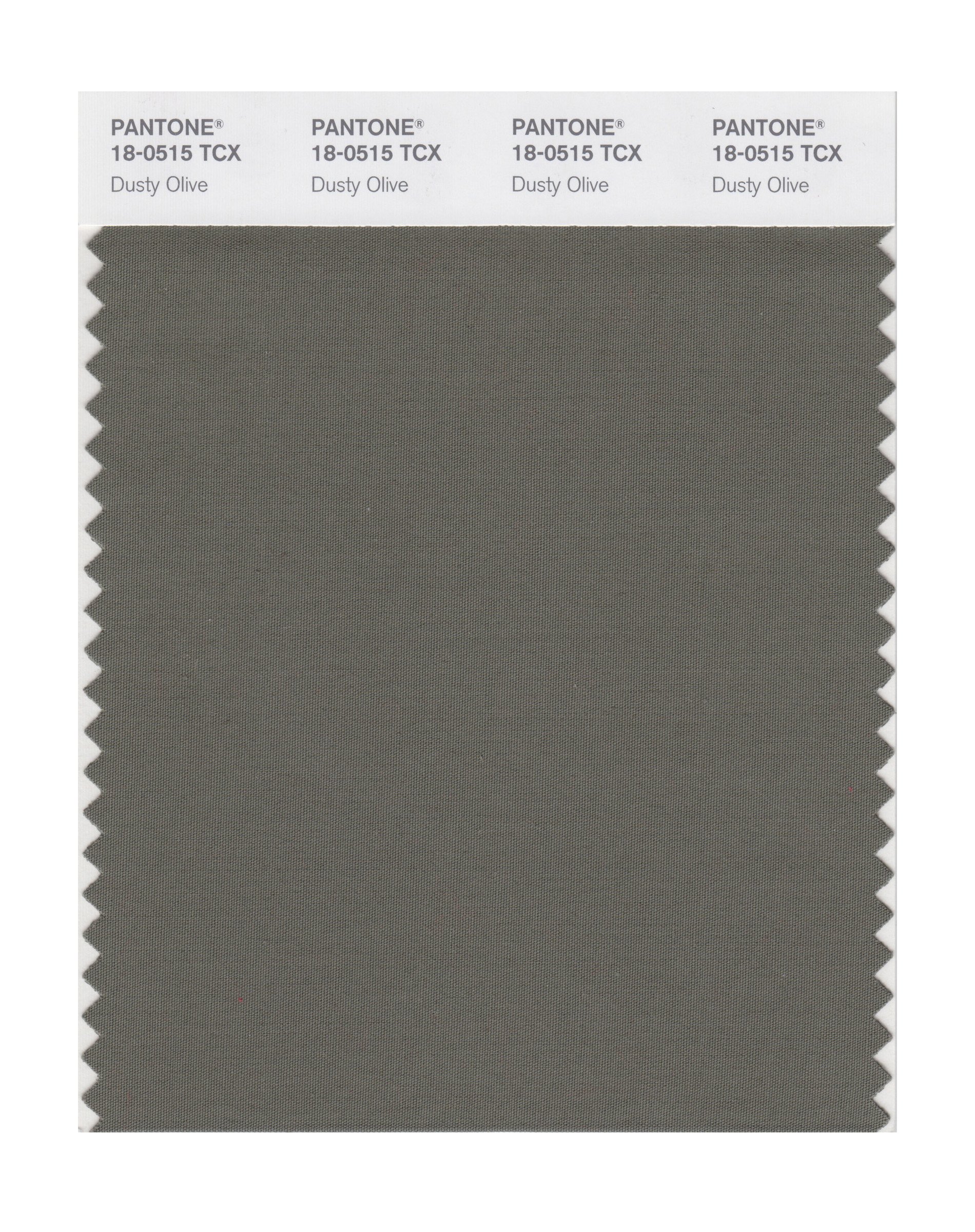 Dusty Olive Color
