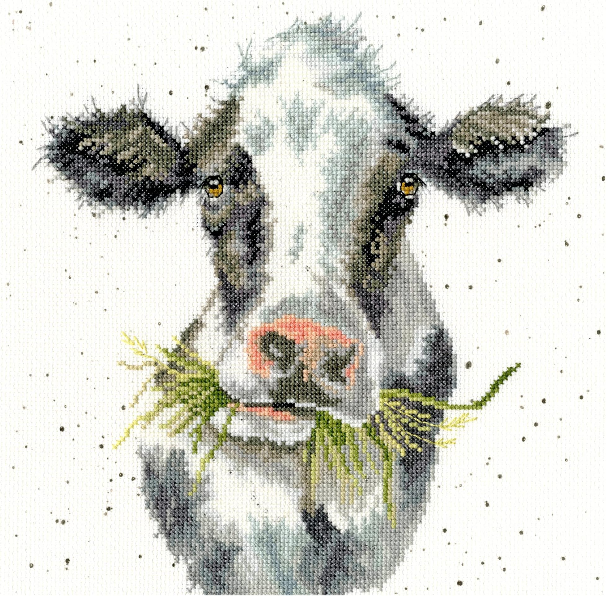 Bothy Threads Cross Stitch Kit - Wrendale Designs - Daisy Coo : Amazon ...