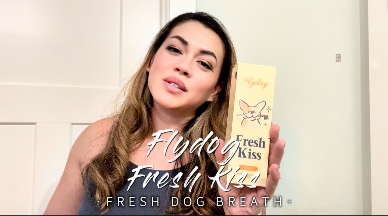 Watch FlyDog Fresh Kiss Enzymatic Dog Toothpaste Kit on Amazon Live
