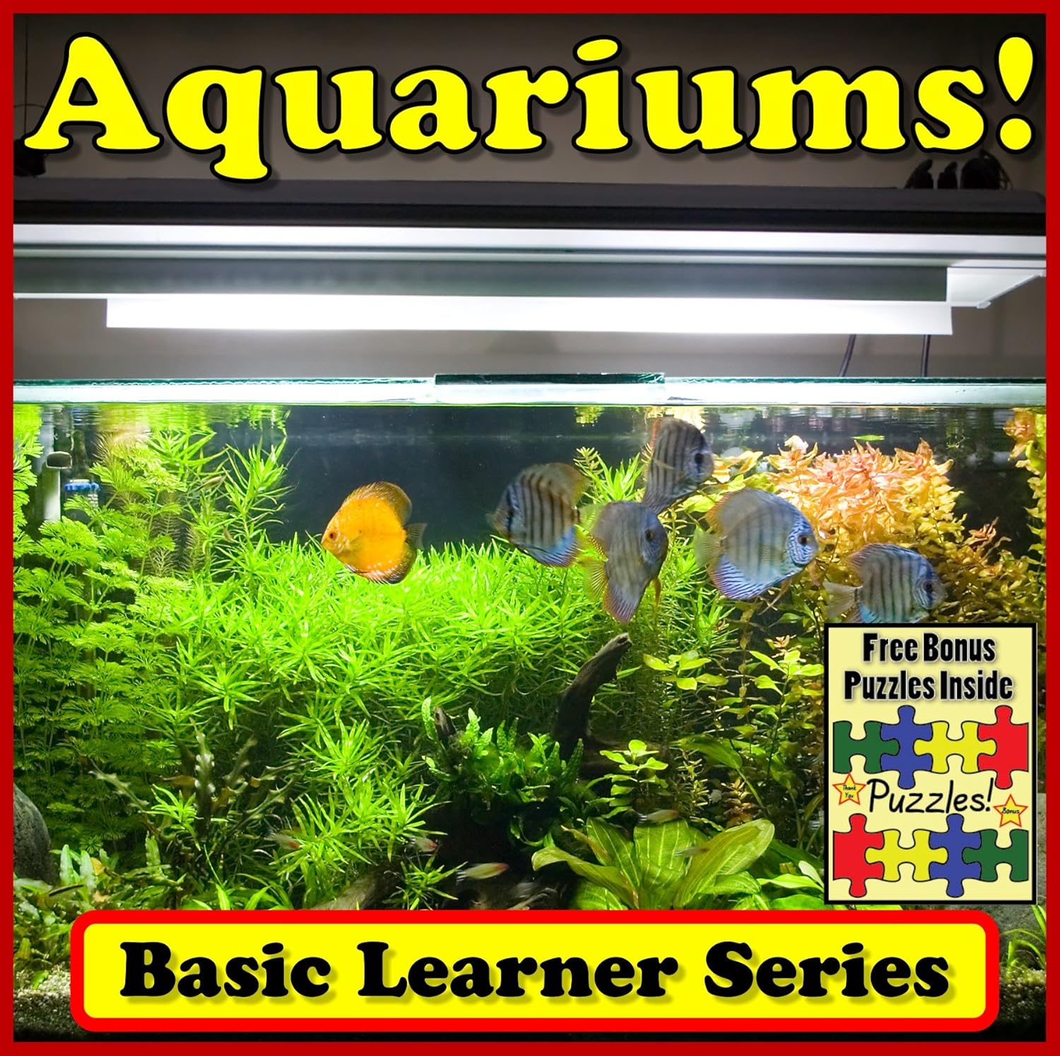 Aquariums! Basic Learning About Aquariums - Basic Learner Series ...
