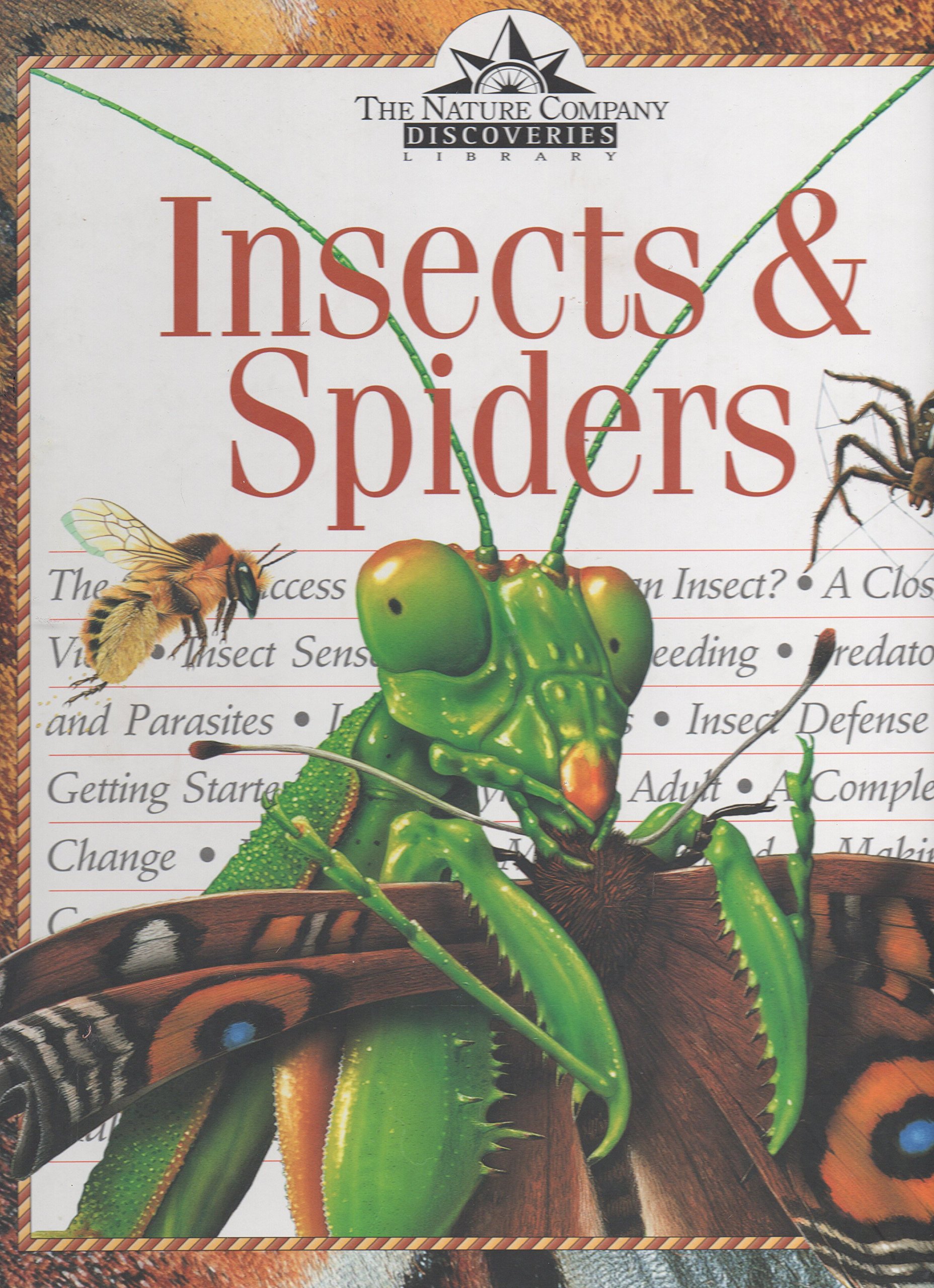 Insects & Spiders (Nature Company Discoveries Libraries): Burnie, David ...
