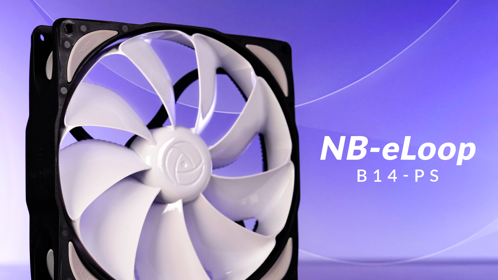 Watch Black Noise NoiseBlocker eLoop B14-Ps Review on Amazon Live