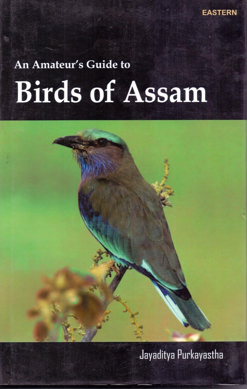 Birds of Assam: An Amateur's Guide To: unknown author: 9789383252695 ...
