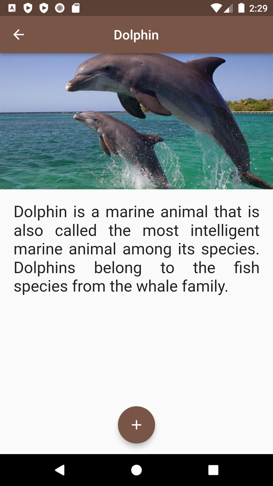 Sea Animals SA - App on Amazon Appstore