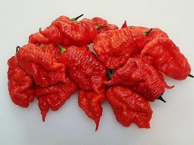 Amazon.com : Death Spiral Pepper 10+ Seeds : Patio, Lawn & Garden
