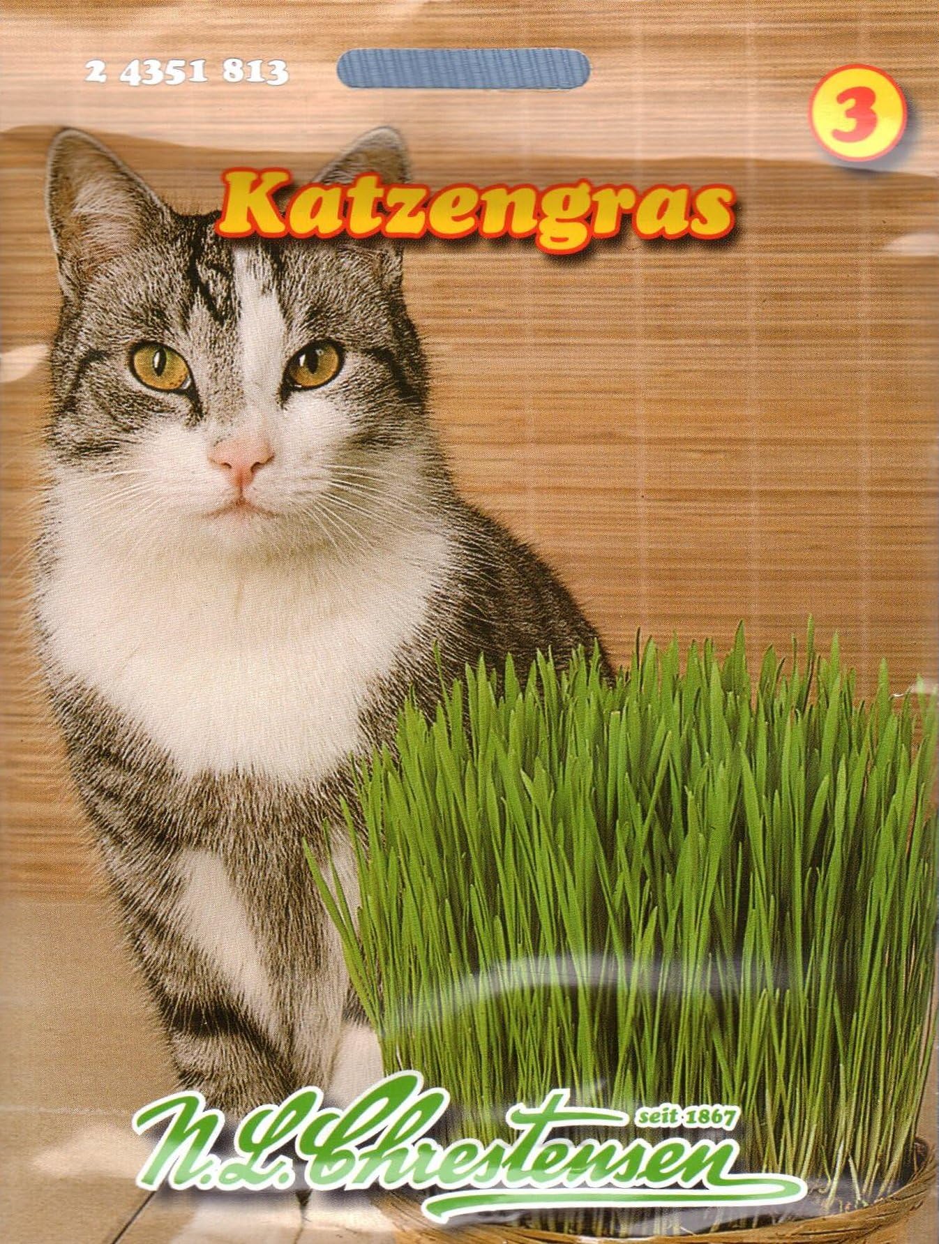 Vitakraft Cat Grass, frisches Katzengras, Katzengras fertig gewachsen ...