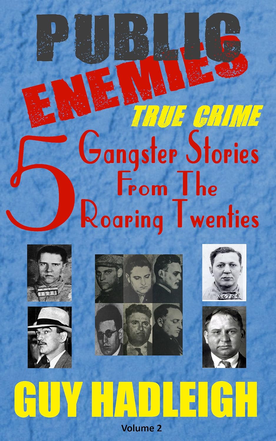 Public Enemies: 5 True Crime Gangster Stories from the Roaring Twenties ...
