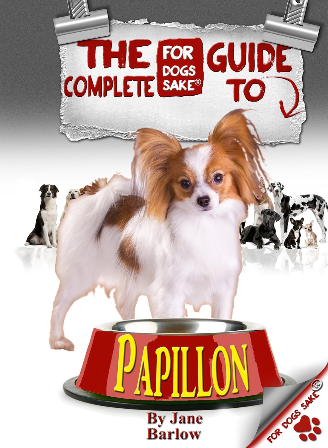 Amazon.com: The Complete Guide to Papillon Dogs: The Definitive Guide ...