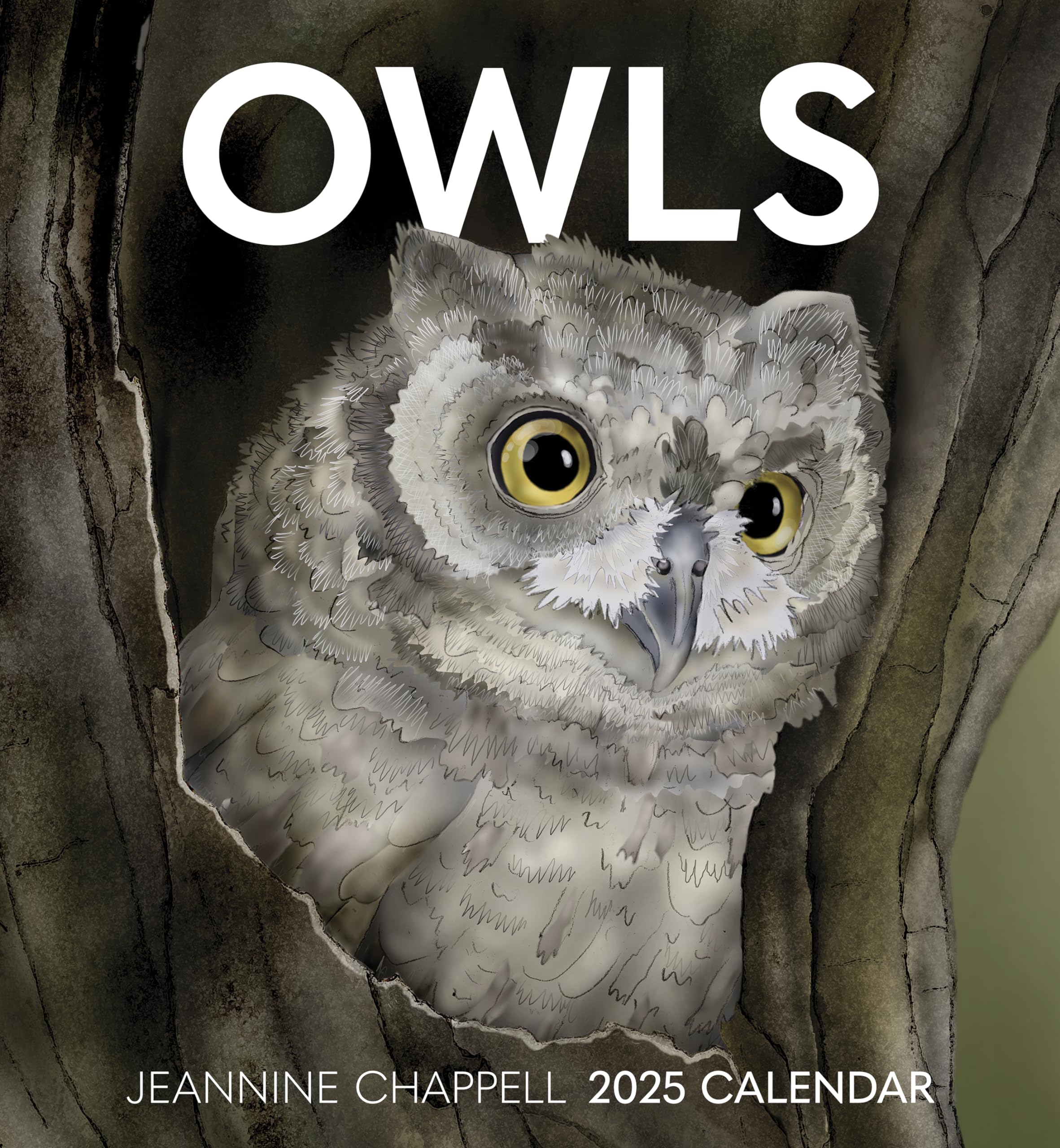 Owls: Jeannine Chappell 2025 Wall Calendar: Jeannine Chappell ...