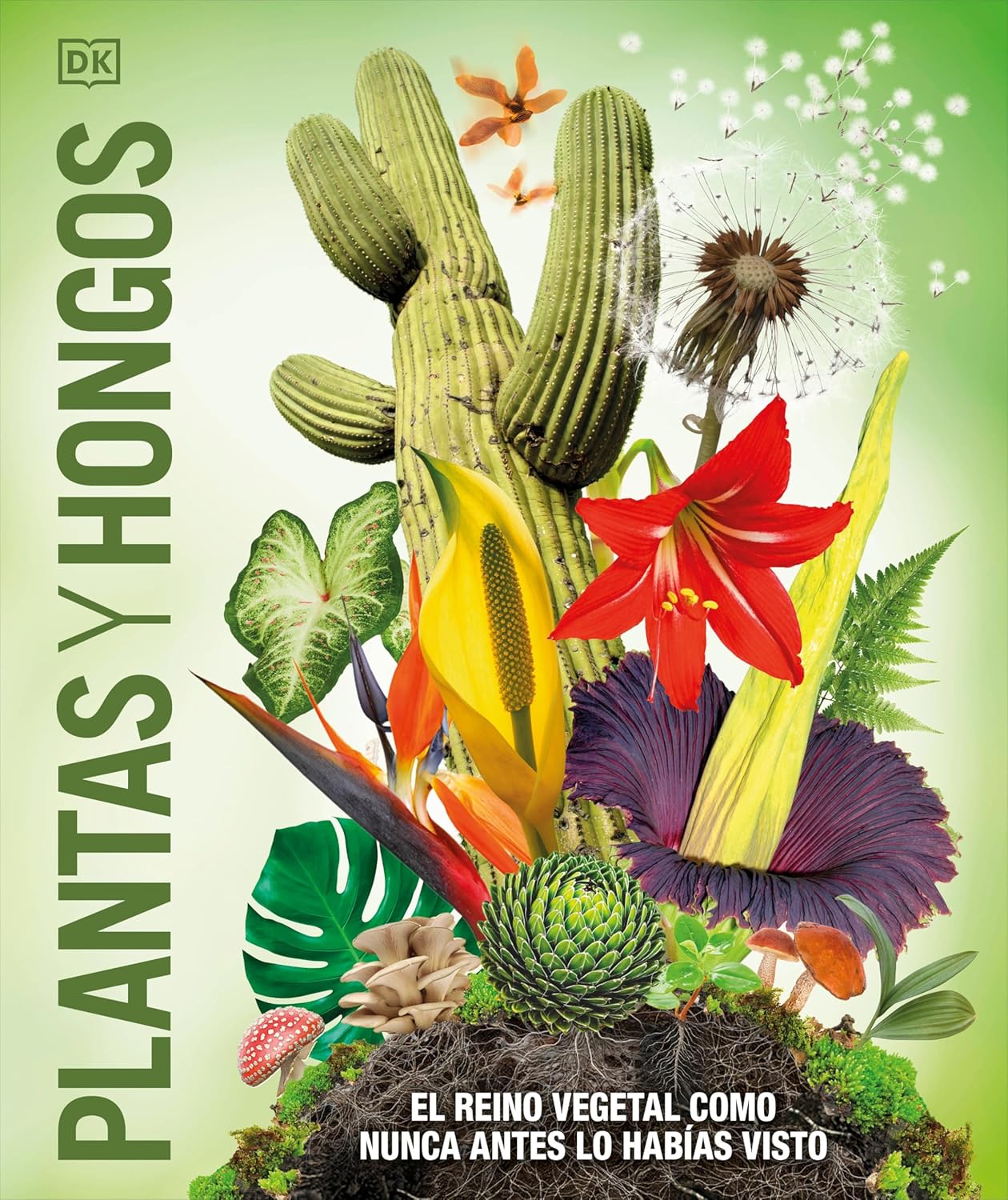 Plantas Y Hongos (Knowledge Encyclopedia Plants and Fungi!) : DK: Amazon.com.mx: Libros