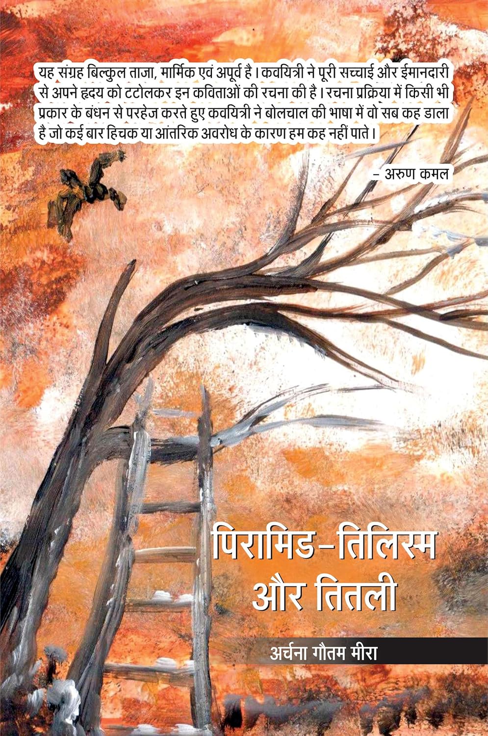Buy PIRAMID-TILISM AUR TITALI Book Online at Low Prices in India ...