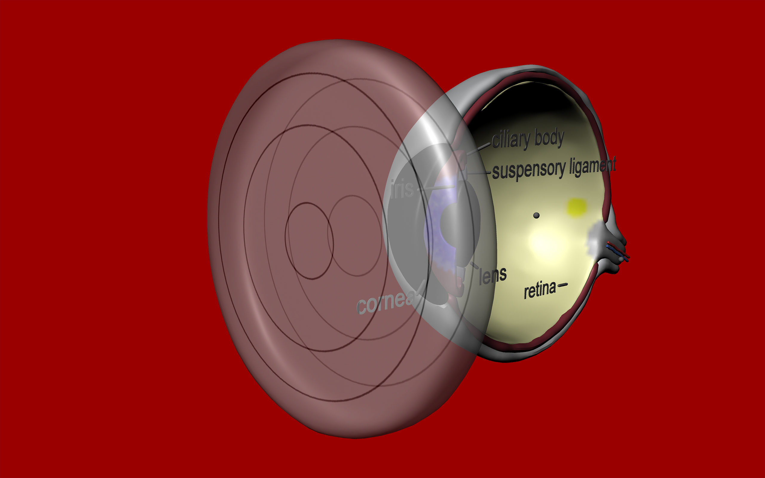 Eye Structure and Function - App on Amazon Appstore