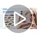 Amazon.com: 2 Sheets Fish Stickers for Adults - Realistic Detailed Fish ...