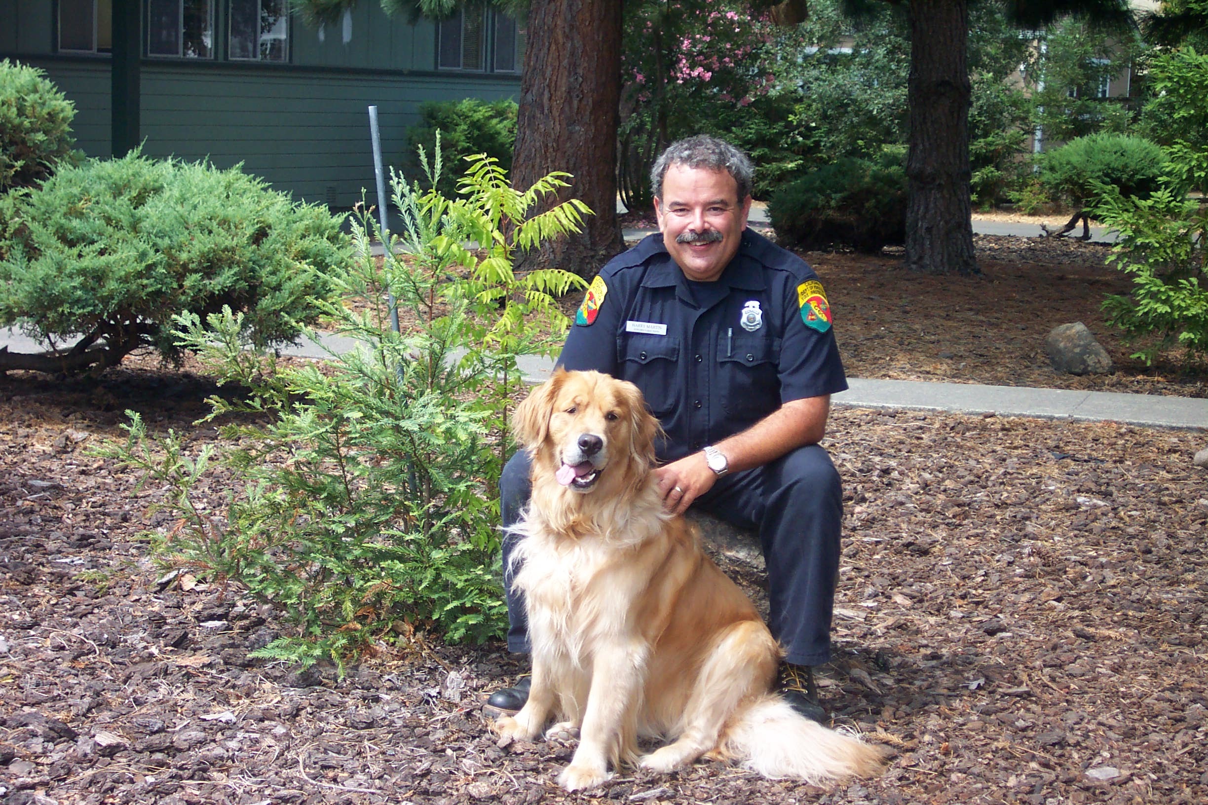 Amazon.com: Harry Martin: books, biography, latest update