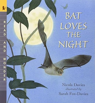 Bat Loves the Night: Read and Wonder: Davies, Nicola, Fox-Davies, Sarah ...