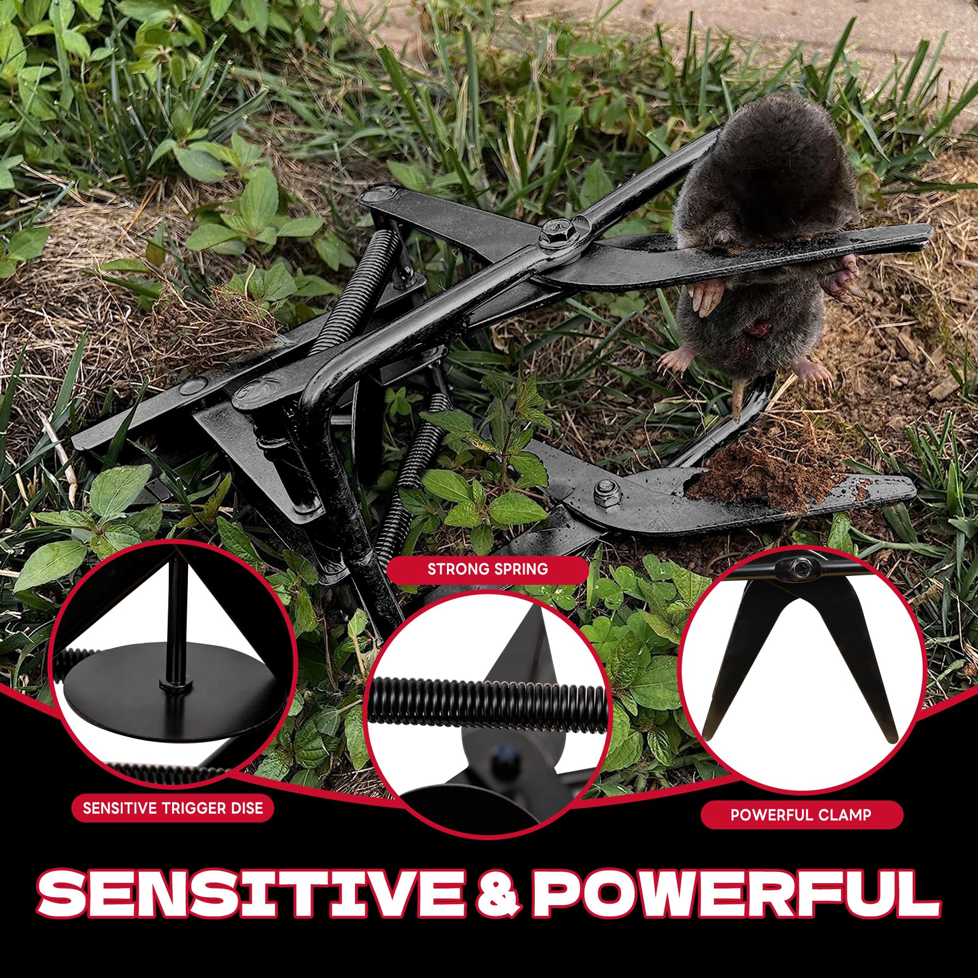 Mole Traps 2 Pack, Scissor Mole Trap That Kill Best?Mole Traps for ...