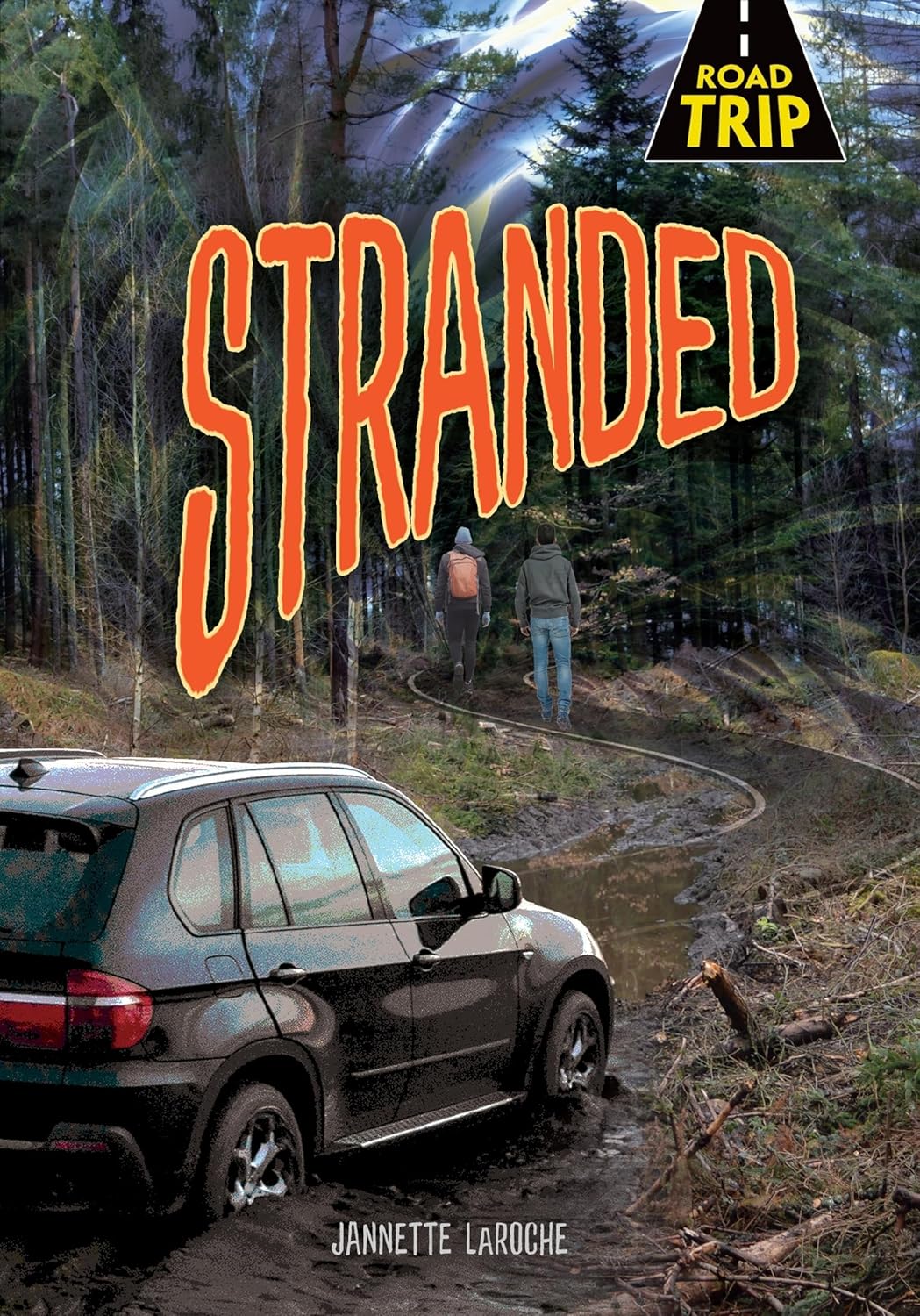 Amazon.com: Stranded (Road Trip): 9781541573024: LaRoche, Jannette: Books