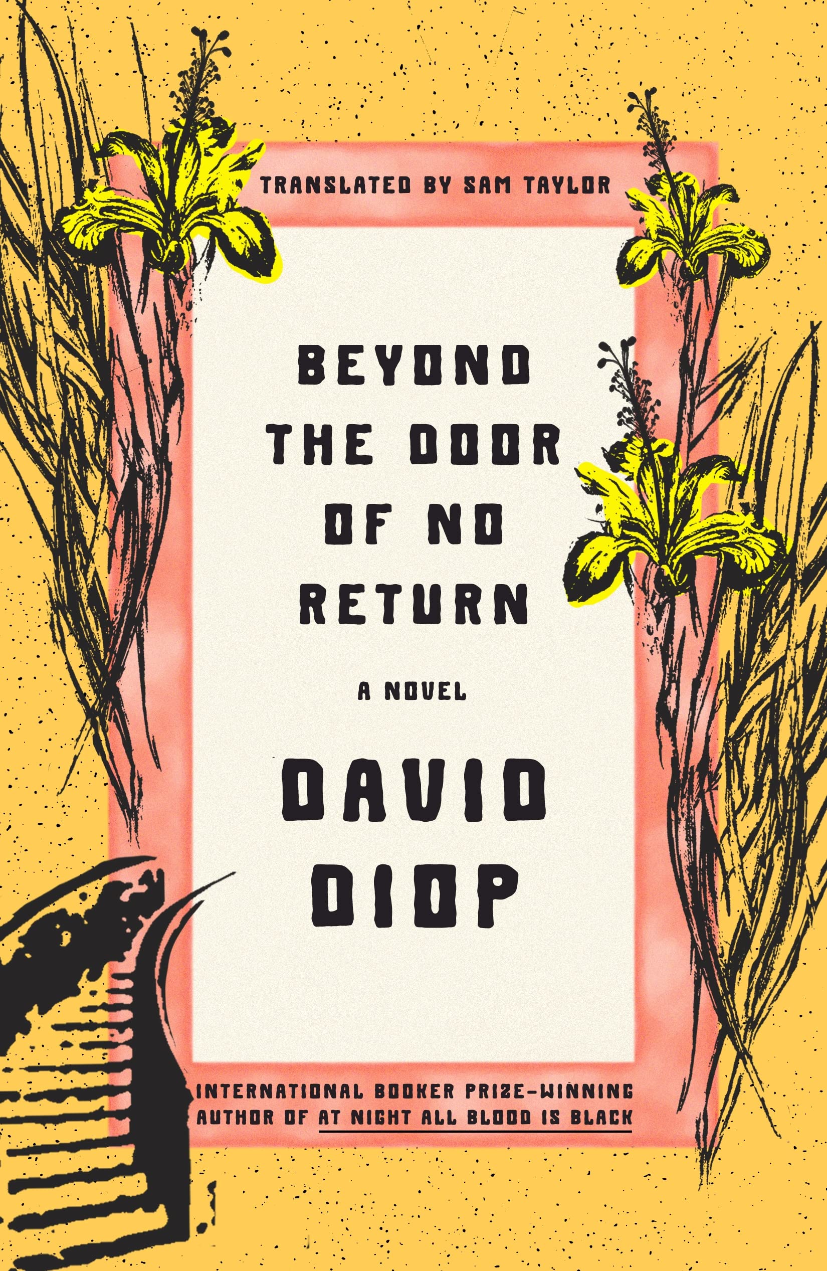 Amazon.com: Beyond the Door of No Return: A Novel: 9780374606770: Diop ...
