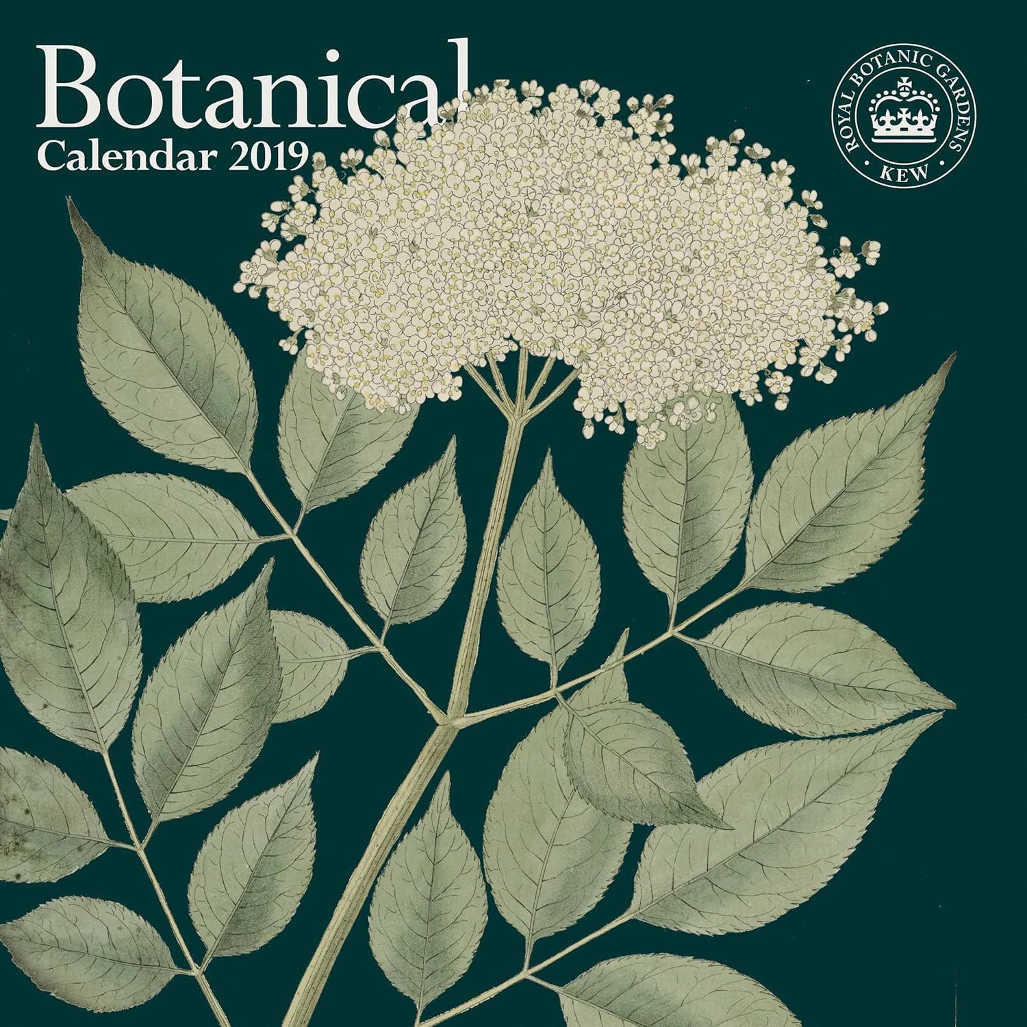 Amazon.com: Royal Botanic Gardens Kew Botanicals W 2 (Square ...