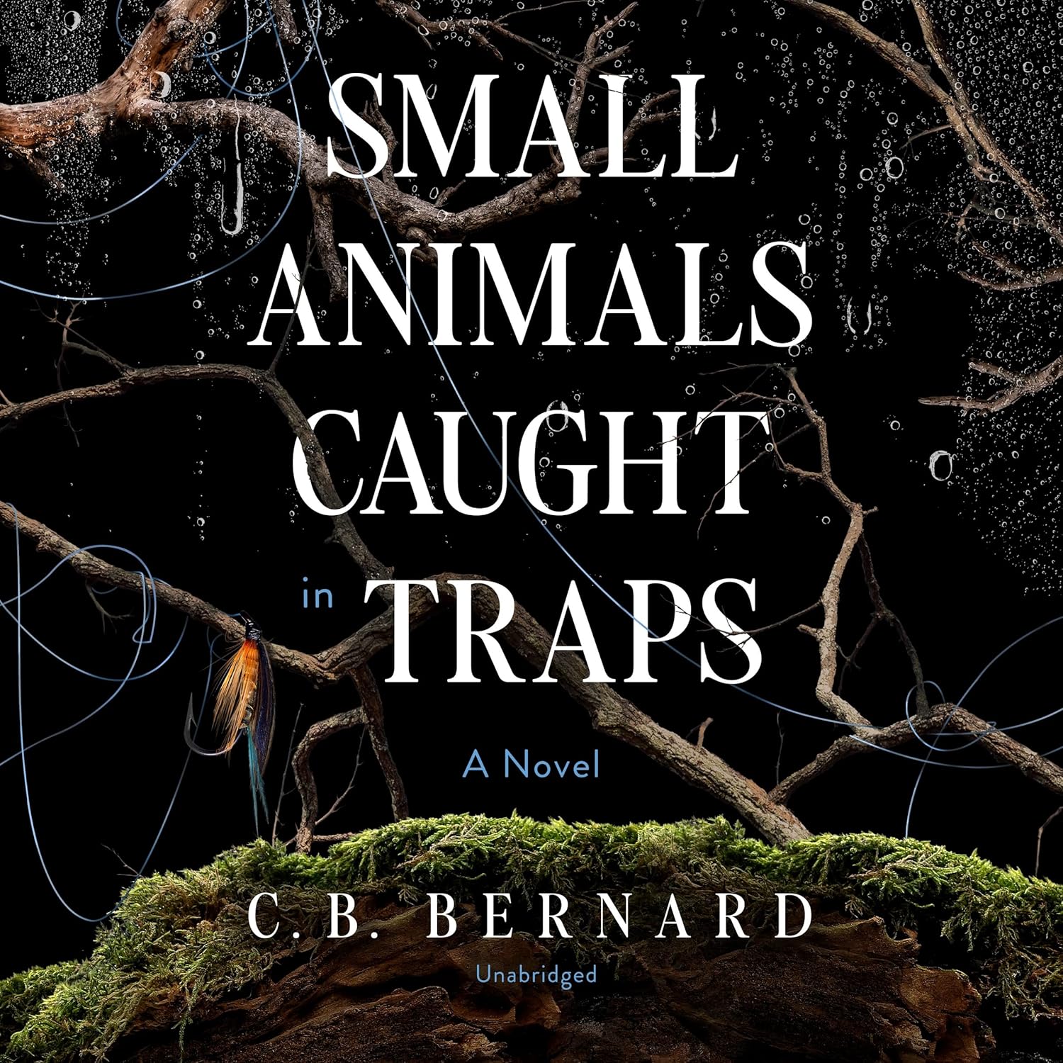 Small Animals Caught in Traps: A Novel: C. B. Bernard: 9798200798353 ...