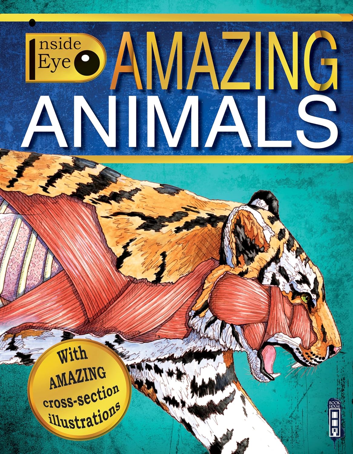 Amazing Animals (Inside Eye): Channing, Margot: 9781906370732: Amazon ...
