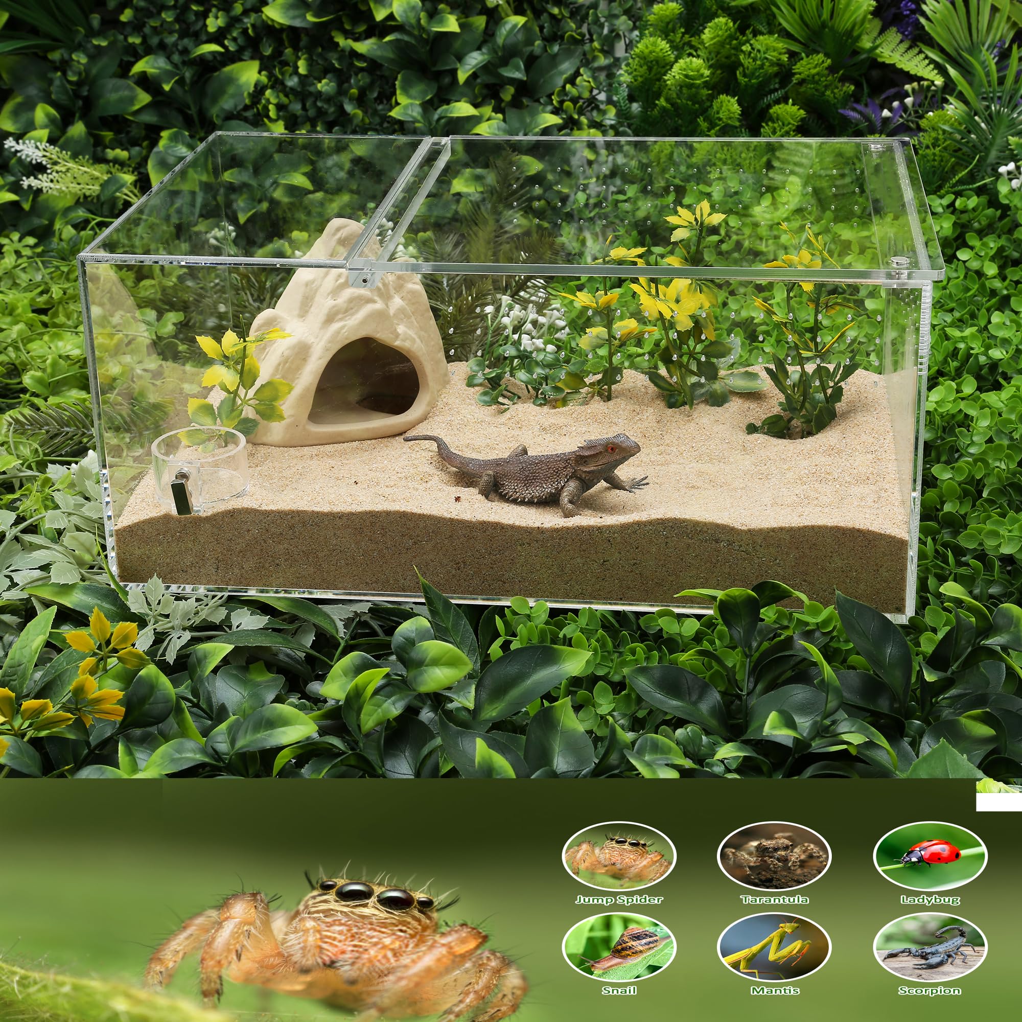 Snake Enclosure Tarantula Spider Enclosures Jumping Spider Enclosure ...