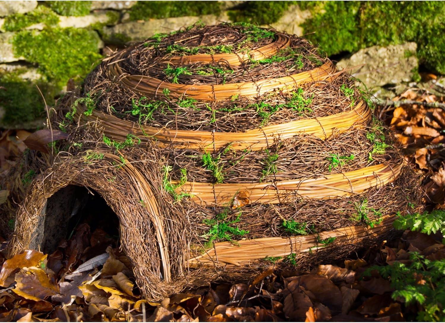 Wildlife World Igloo HH10 Wicker Hedgehog House Home : Amazon.co.uk: Garden