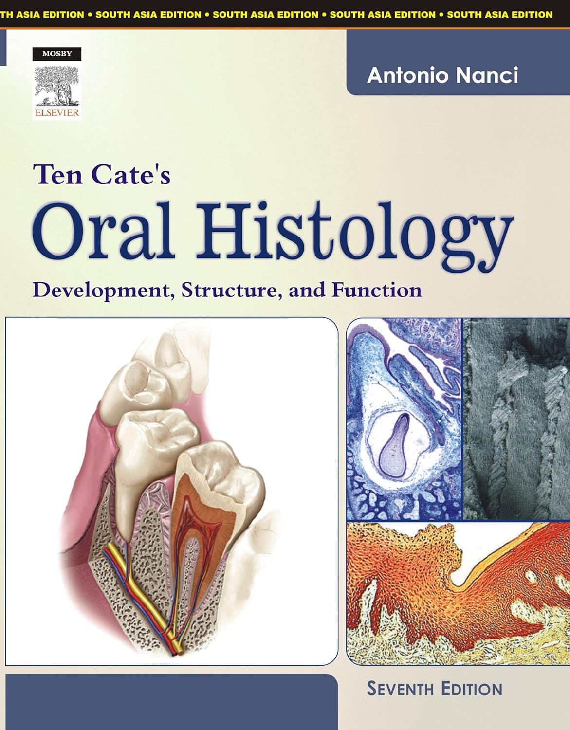 Ten Cate's Oral Histology (Old Edition): Phd Antonio Nanci ...