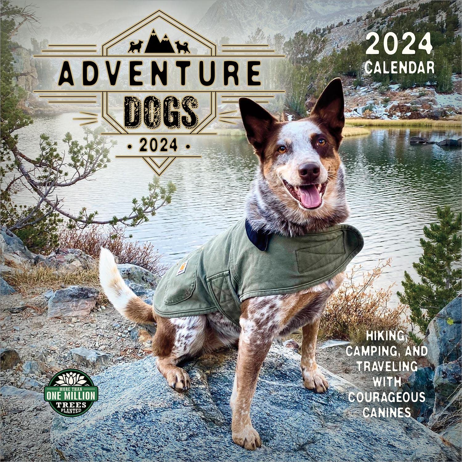 Amazon | Adventure Dogs 2024 Calendar: Hiking, Camping, and Traveling ...