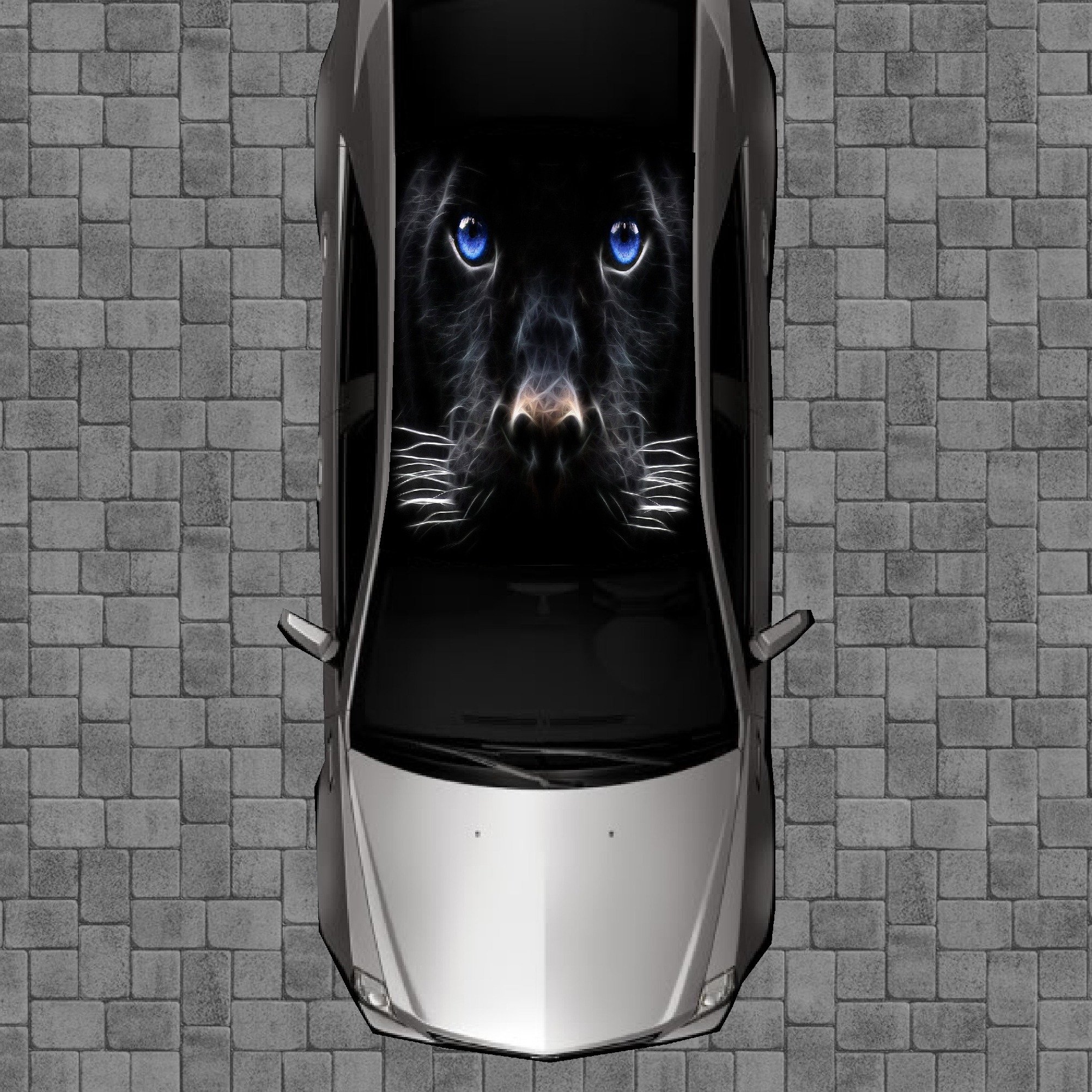 Black Panther Animal Eyes Black Panther Eyes Stock Photos, Royalty